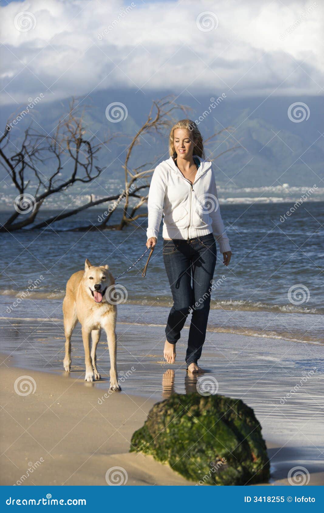 Woman walking dog. stock image. Image of leisure, years - 3418255
