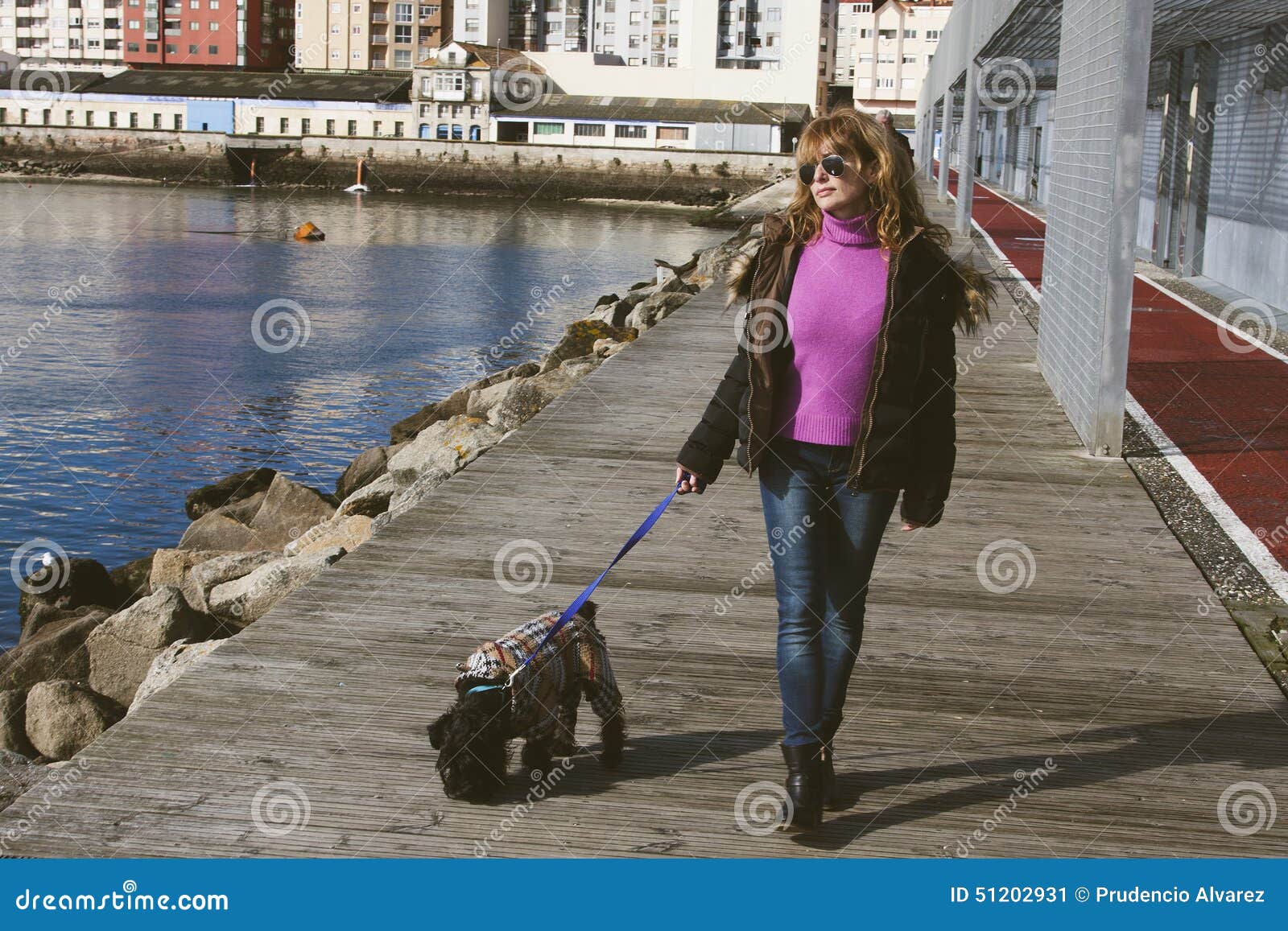 Woman walking the dog stock image. Image of happy, labrador - 51202931