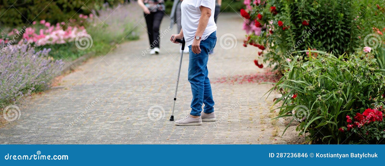 Woman Walking Down Path with Walking Stick in Germany Stock Photo ...