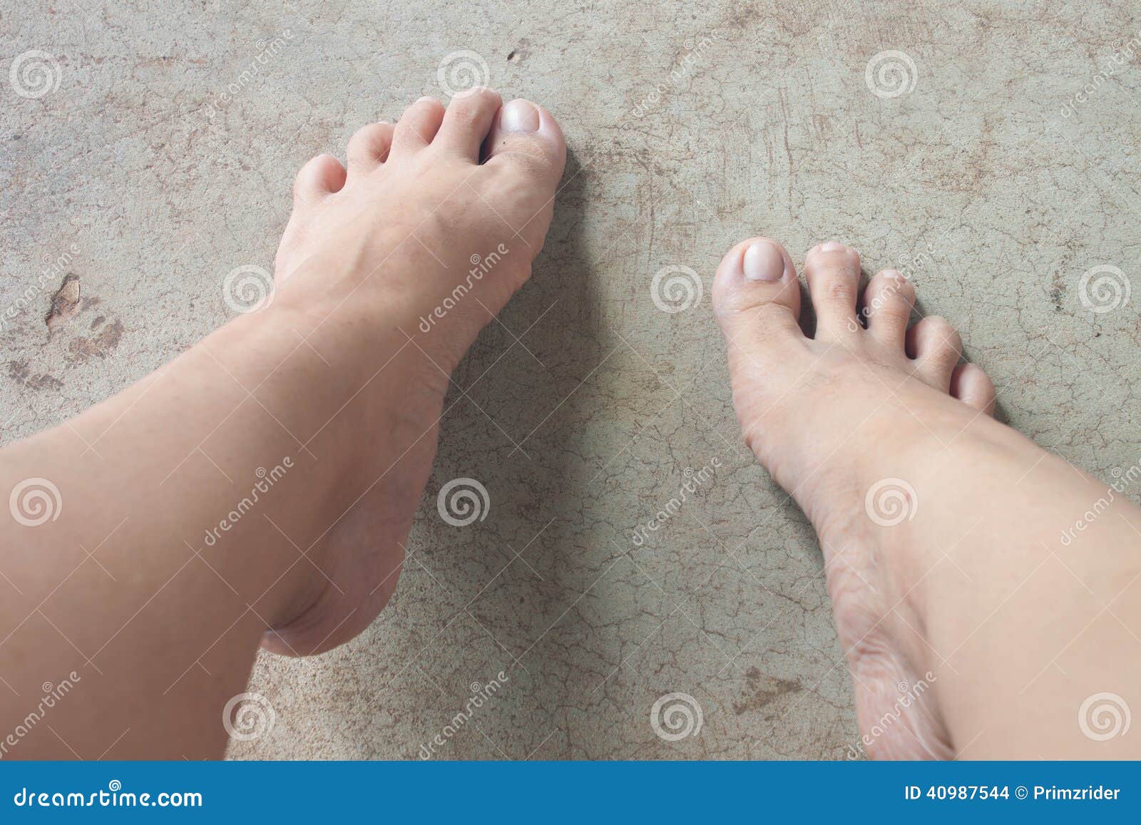 Walking Foot Path With Green Grass And Tiles Background Texture Royalty ...