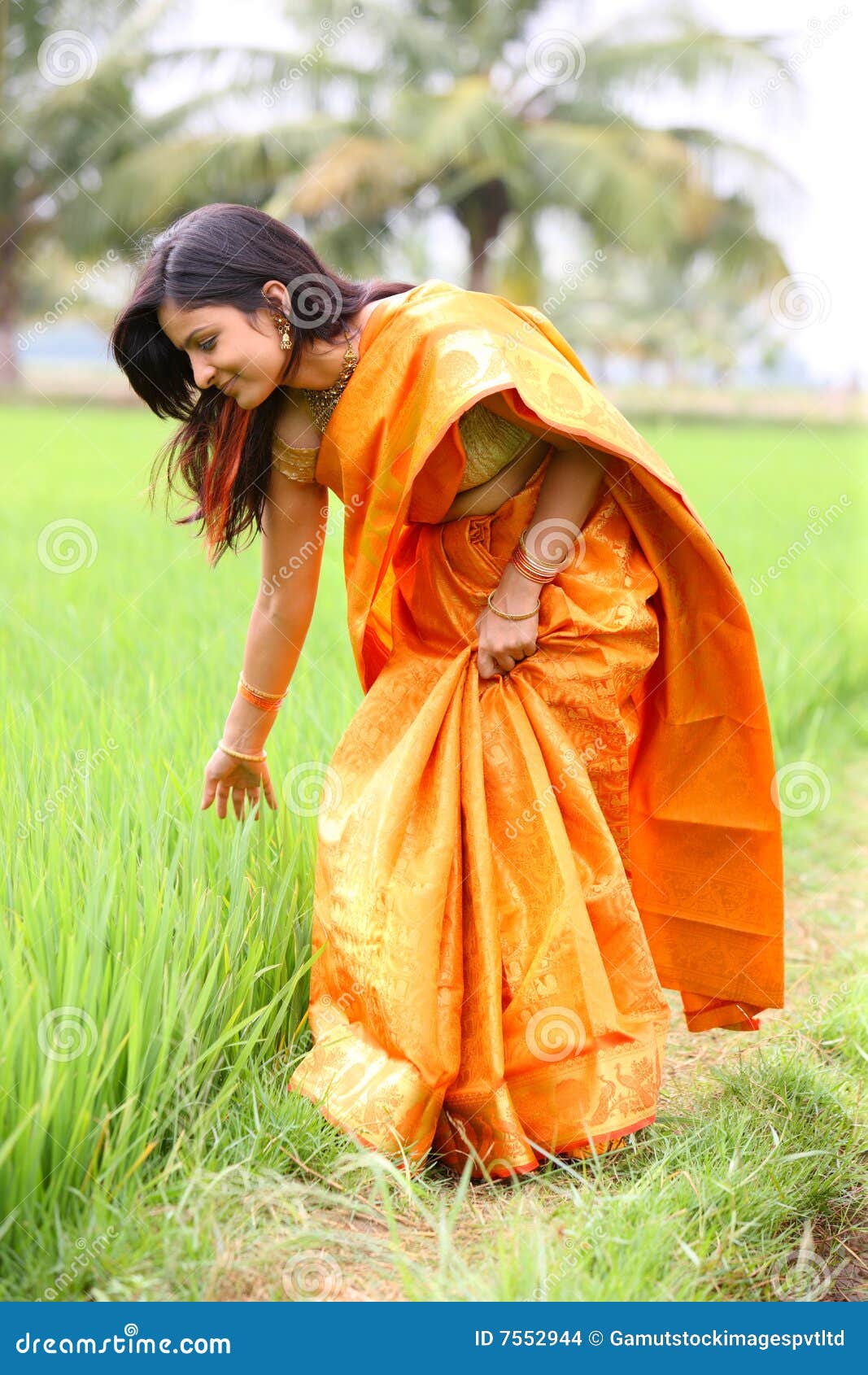 Woman Walking in the Paddy Field Stock Photo - Image of gold, culture ...