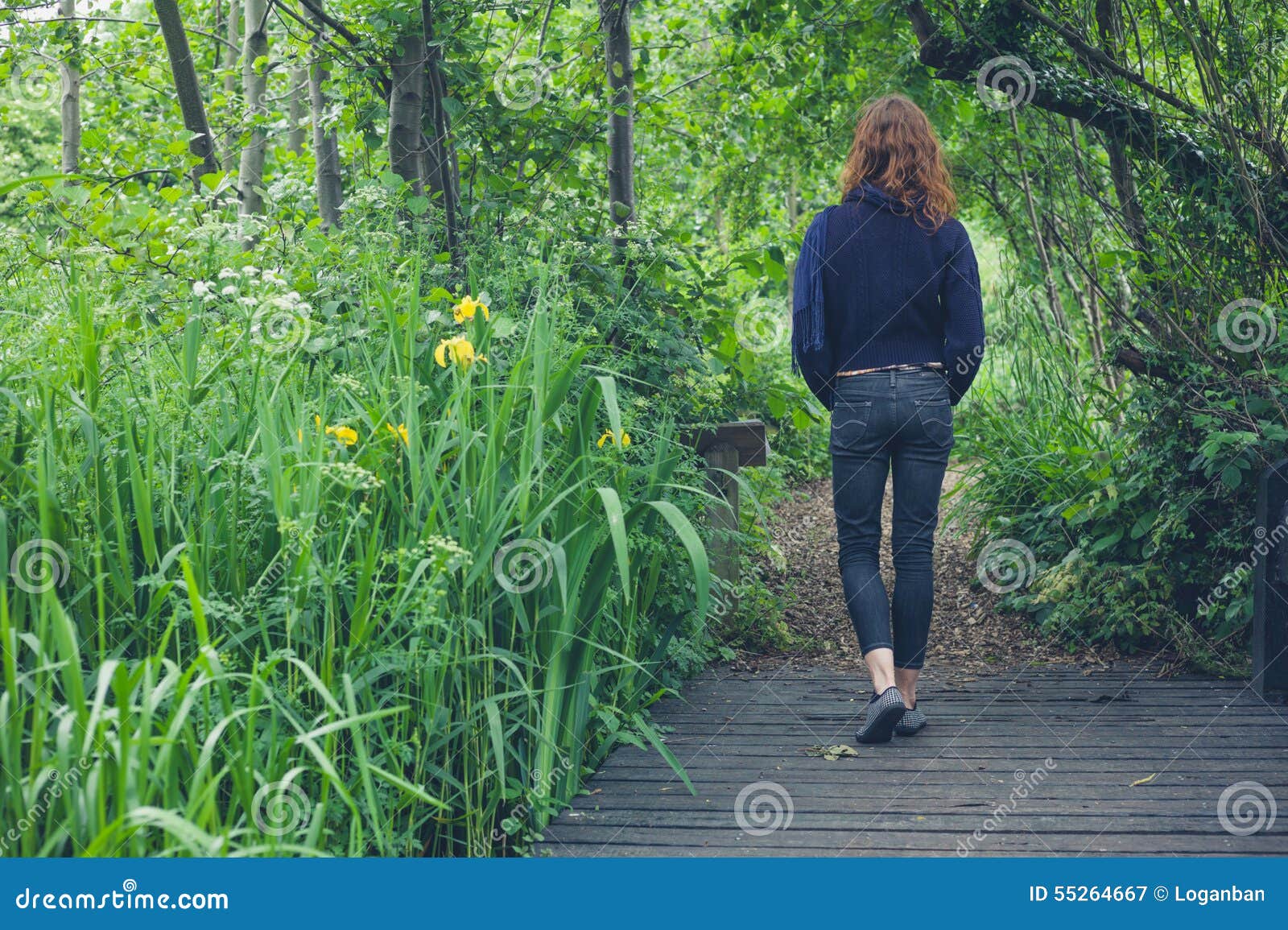 Woman Walking on Path in Forest Stock Image - Image of tree, fashion ...