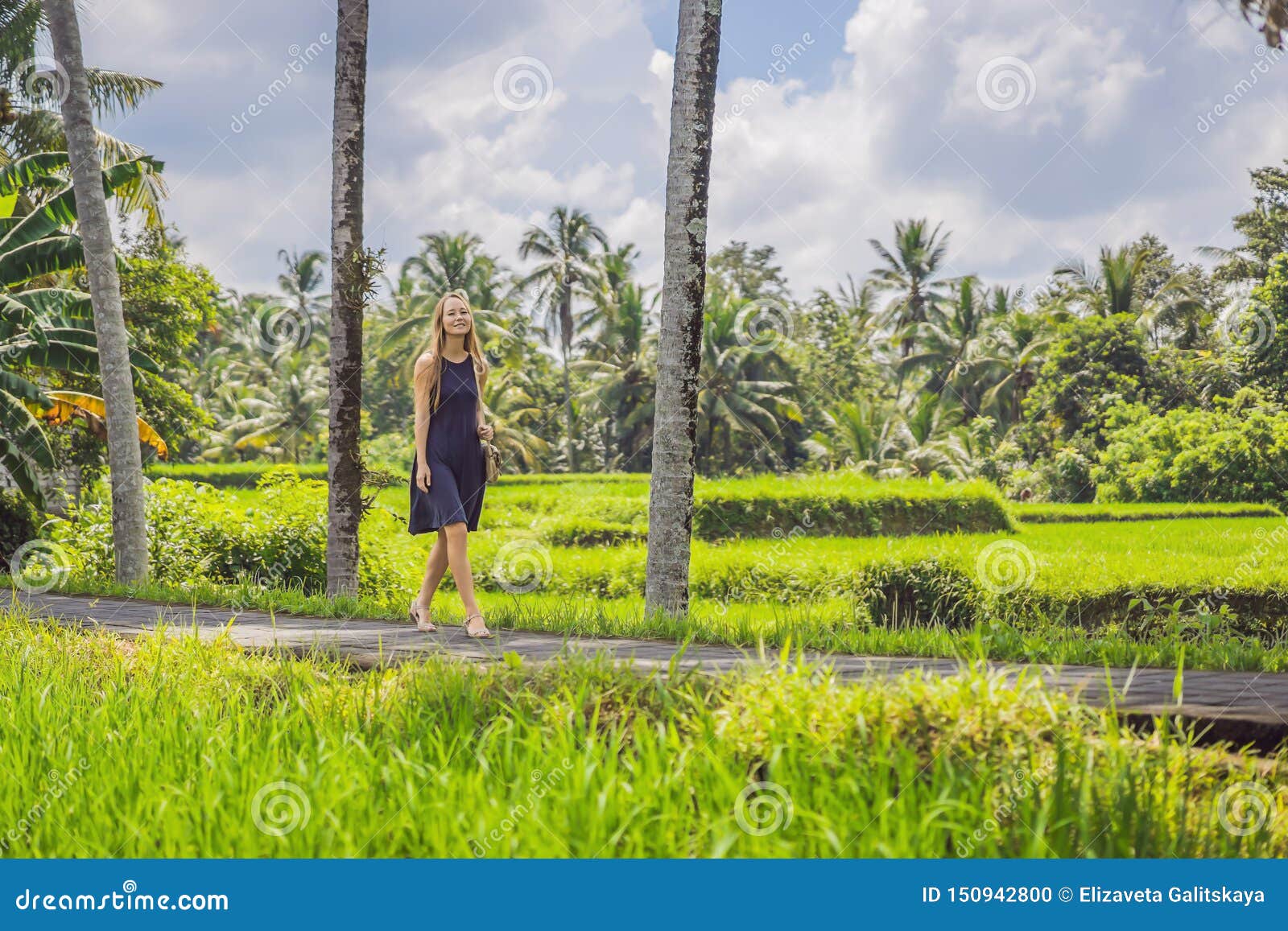 Woman Walking in the Rice Field Bali Stock Photo - Image of fields ...