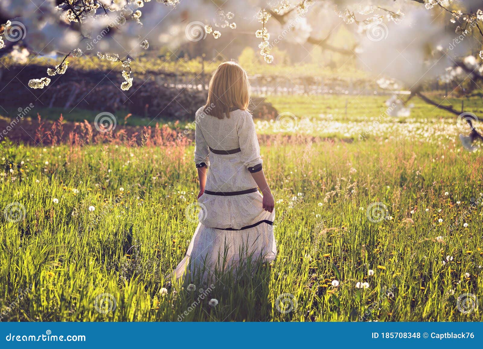 Woman Walking in a Spring Meadow Stock Photo - Image of graceful ...