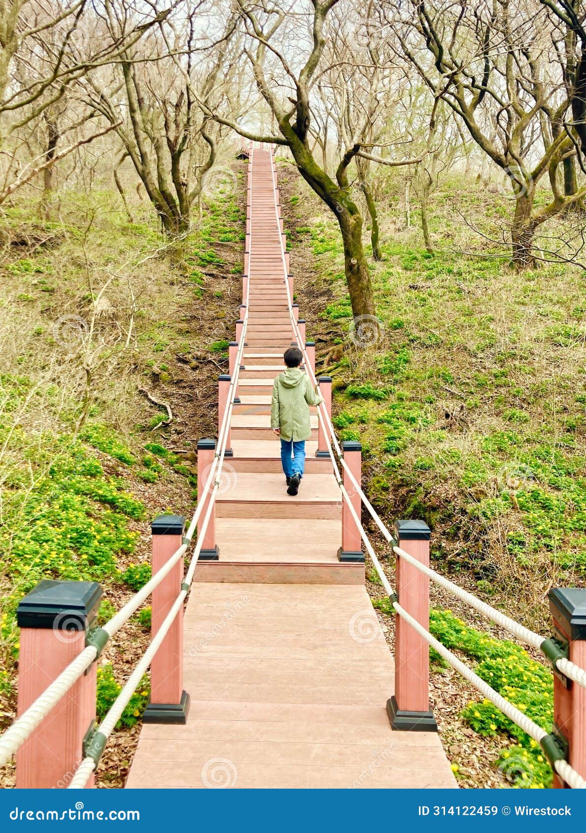 The Woman is Walking on the Steps Up To the Trees Stock Image - Image ...