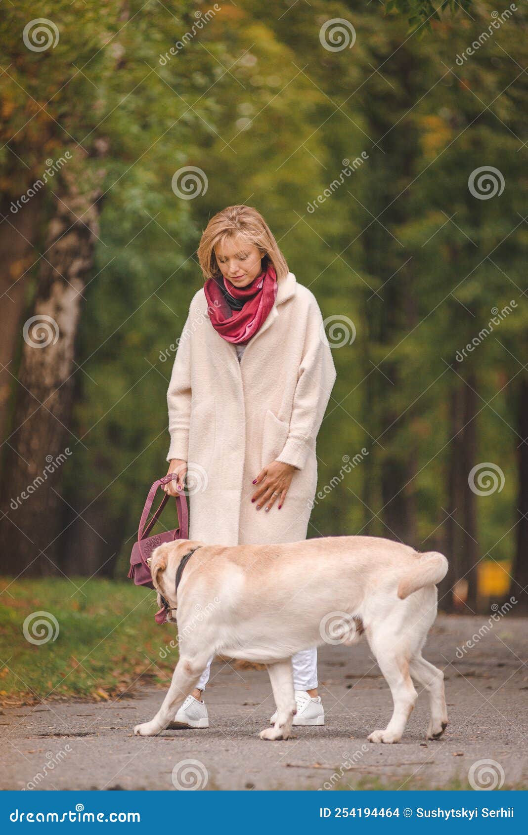A Woman Walks with Her Labrador in the Fall. Stock Photo - Image of ...