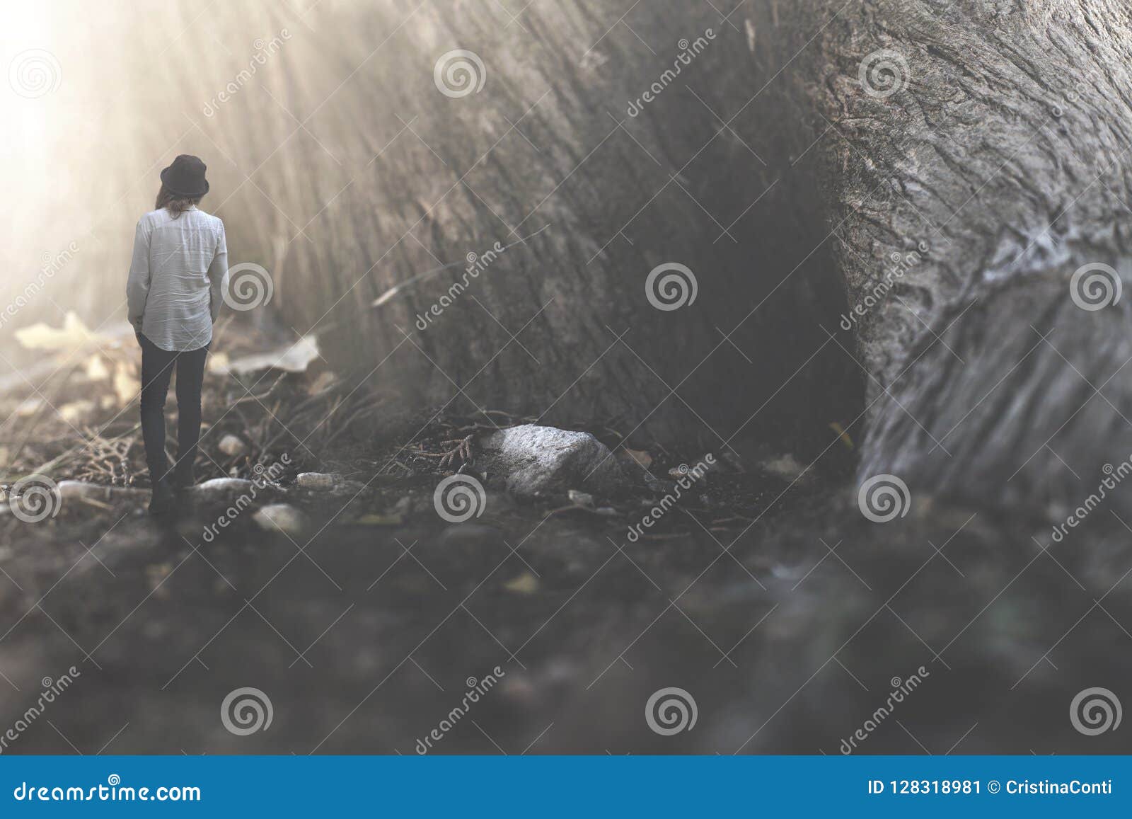Woman Walks in the Middle of a Forest with Giant Trees Stock Image ...