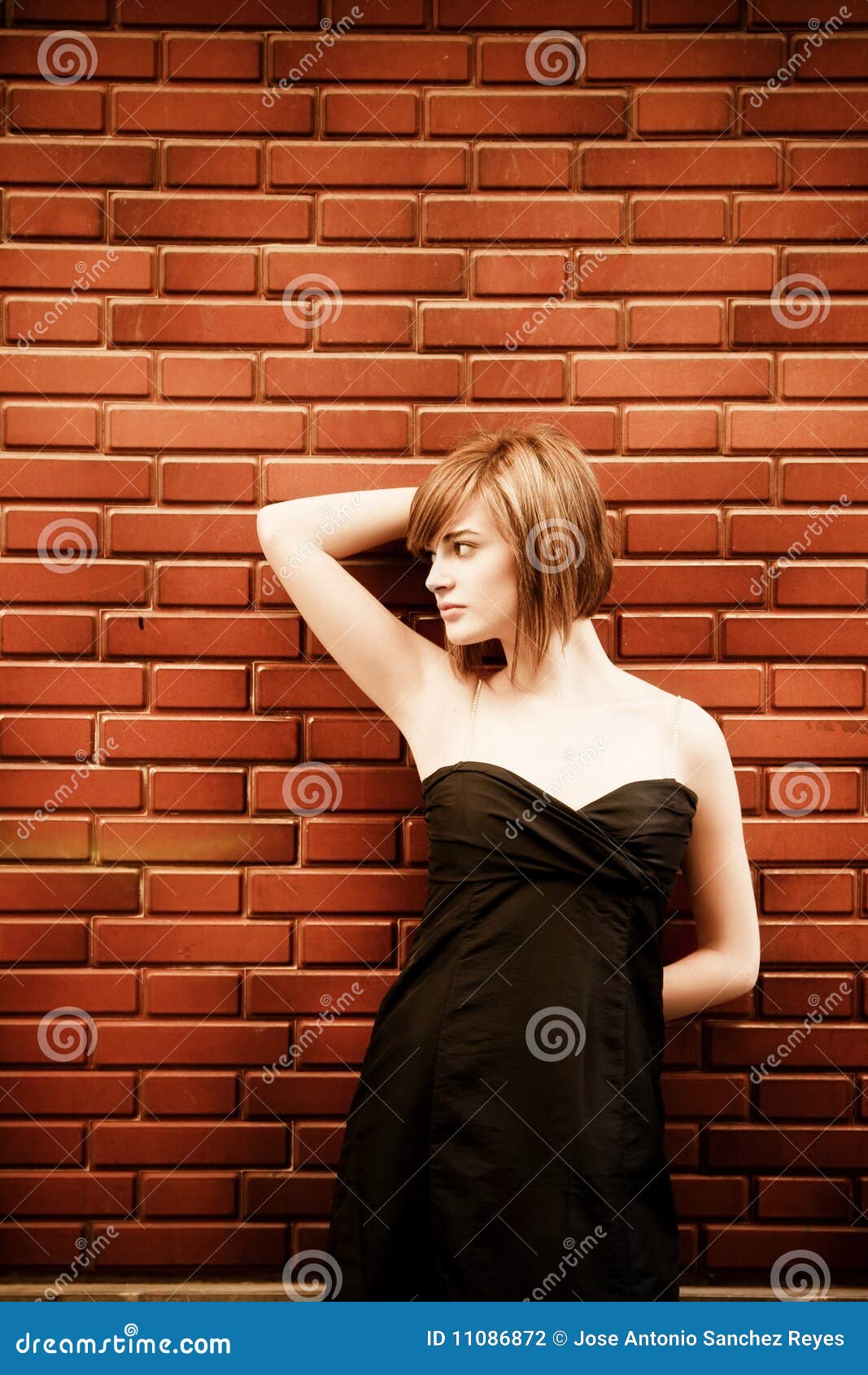 Woman on wall stock photo. Image of cutie, life, adult - 11086872