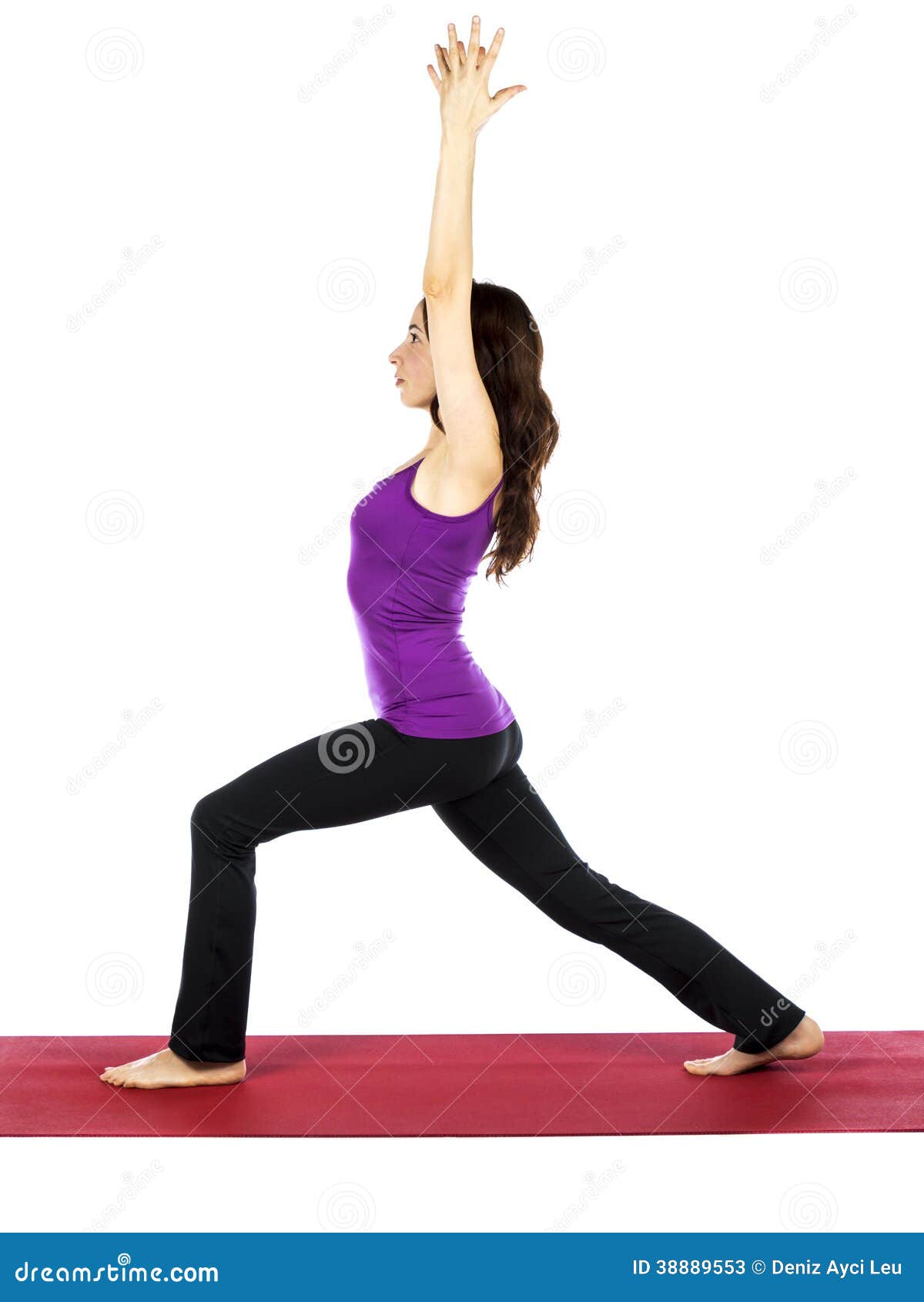 Woman in Warrior Pose in Yoga Stock Image - Image of pilates, people ...