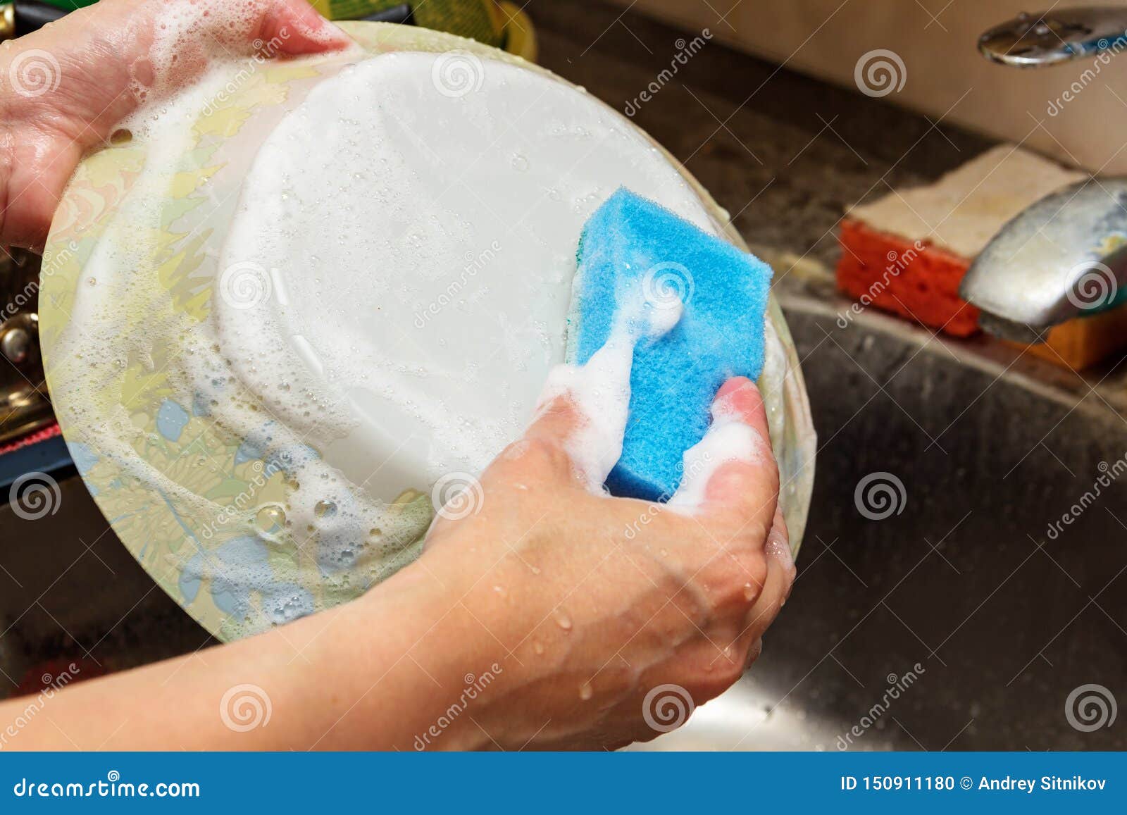 A Woman Washes a Deep Soup Plate Stock Photo - Image of female, plate ...