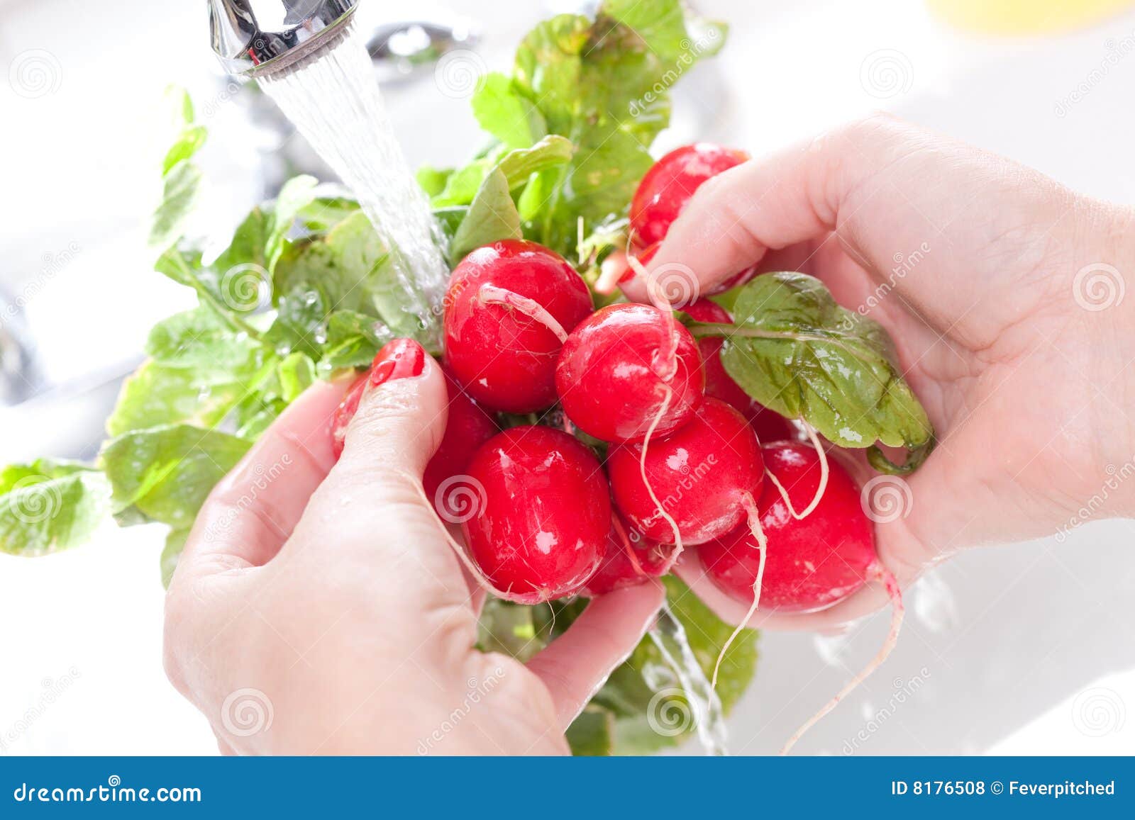Woman Washing Radish stock photo. Image of water, food - 8176508