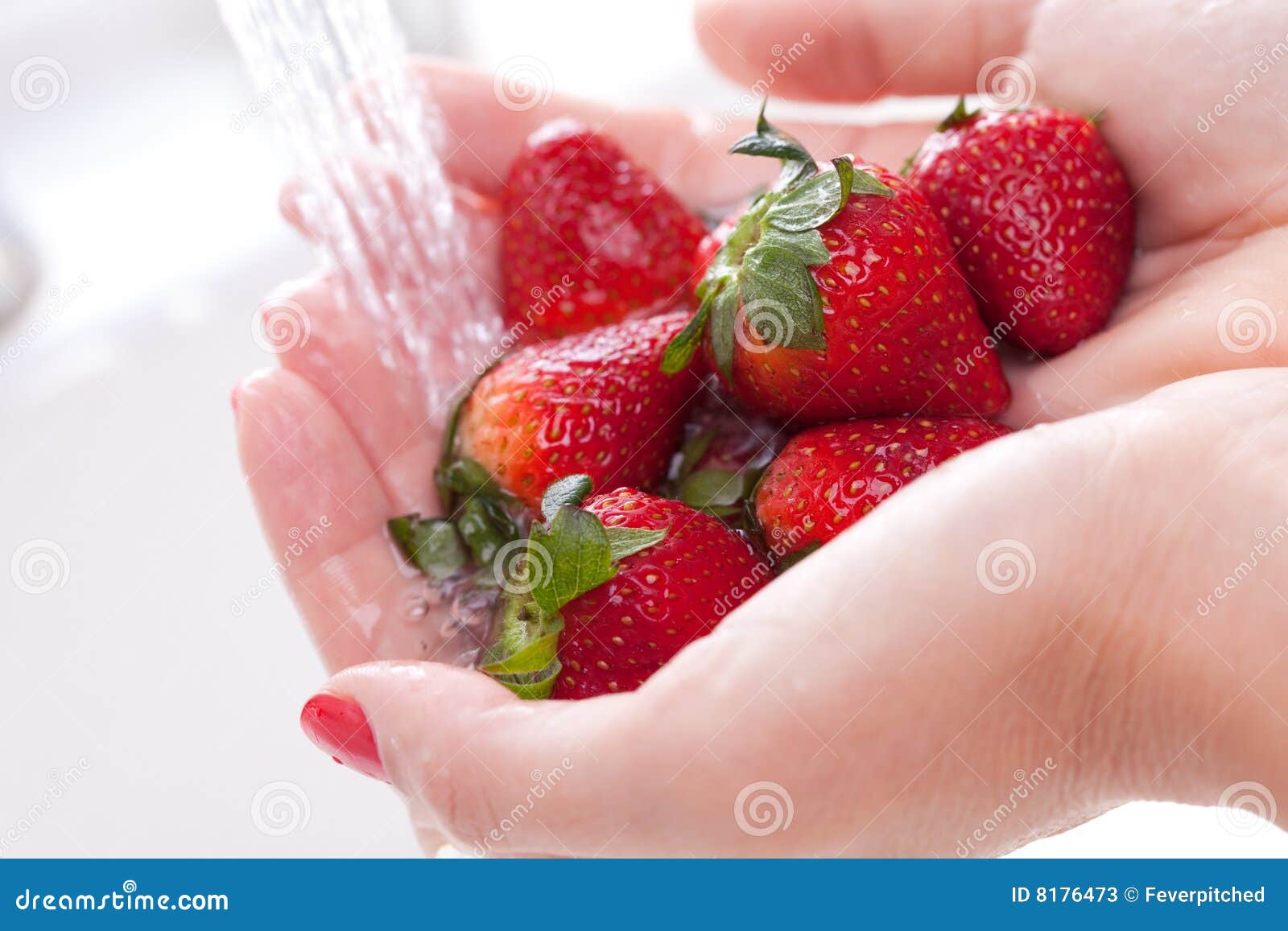 Woman Washing Strawberries stock image. Image of housework - 8176473