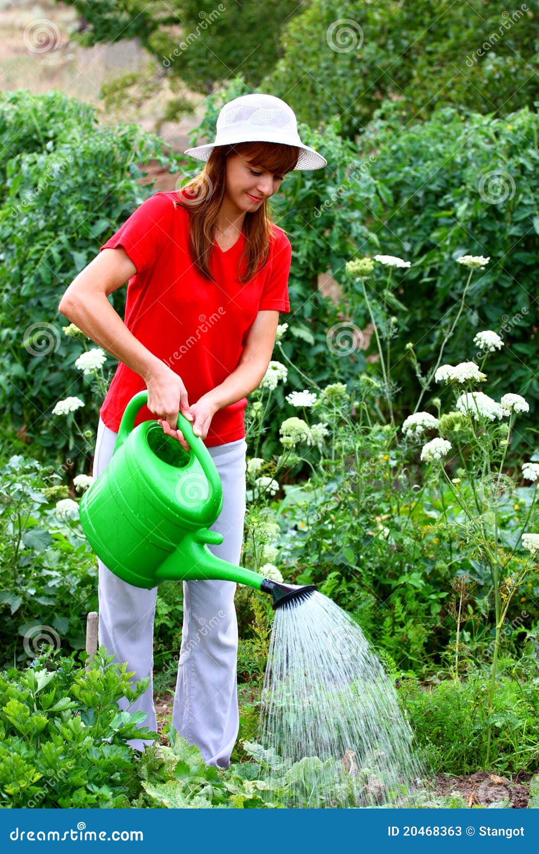 Woman watering stock image. Image of gray, outdoor, people - 20468363