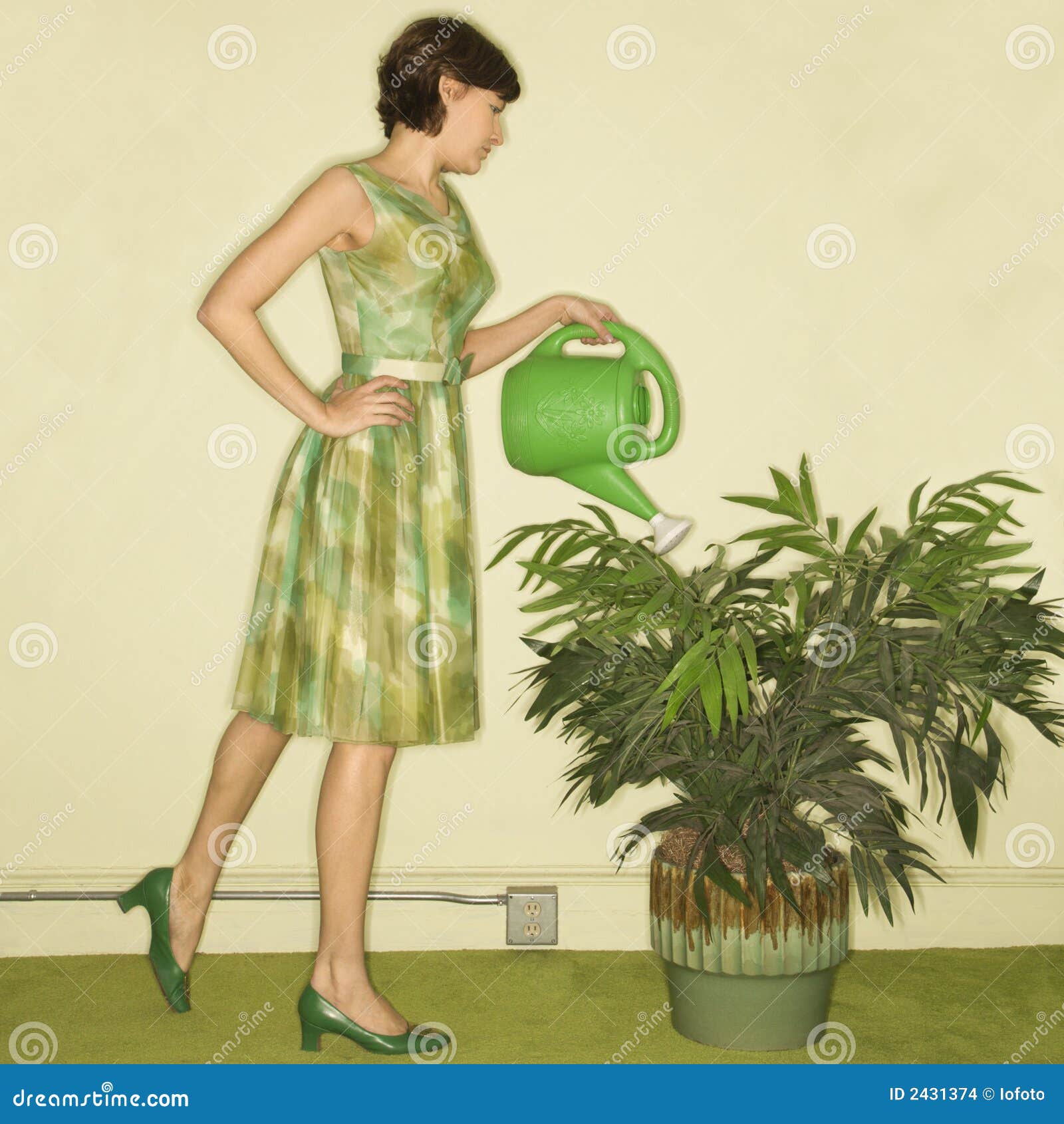 Woman watering plant. stock photo. Image of retro, sixties - 2431374