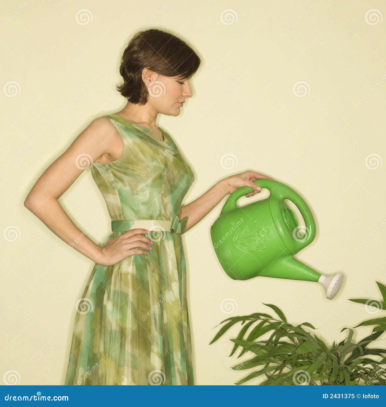Woman watering plant. stock image. Image of photograph - 2431375