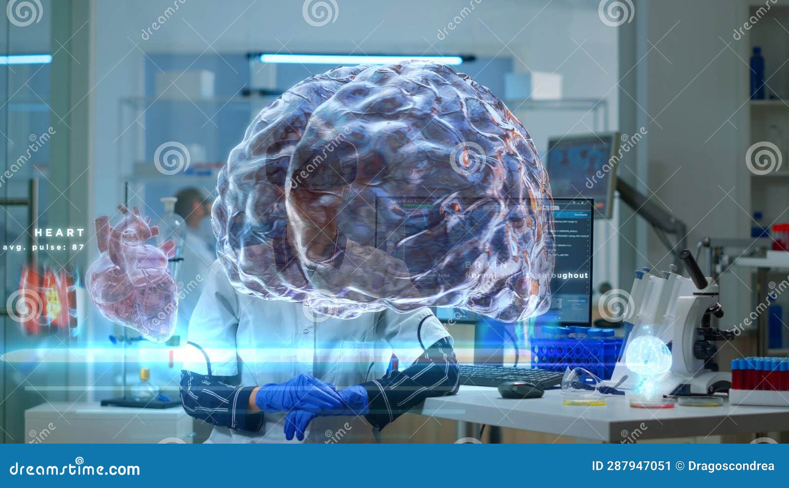Neurology Scientist Examining Brain Nervous System Scan On On Monitor ...