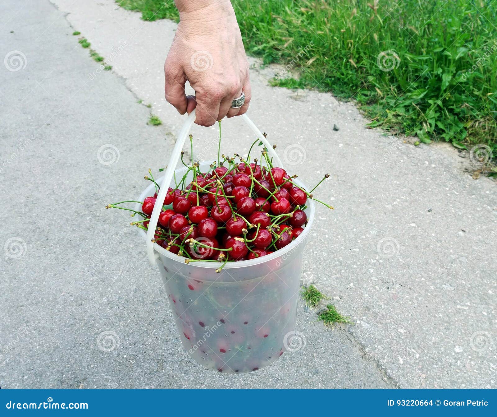 Woman Wears Cherries in a Bucket Stock Photo - Image of wears, wooden ...