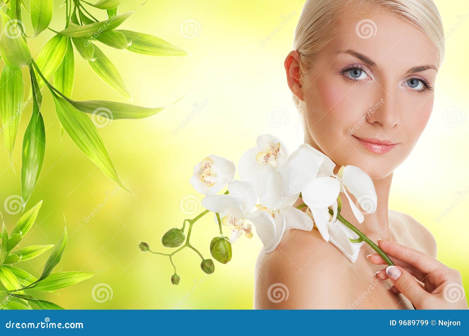 142 Beautiful White Orchid Glow Photos - Free & Royalty-Free Stock ...