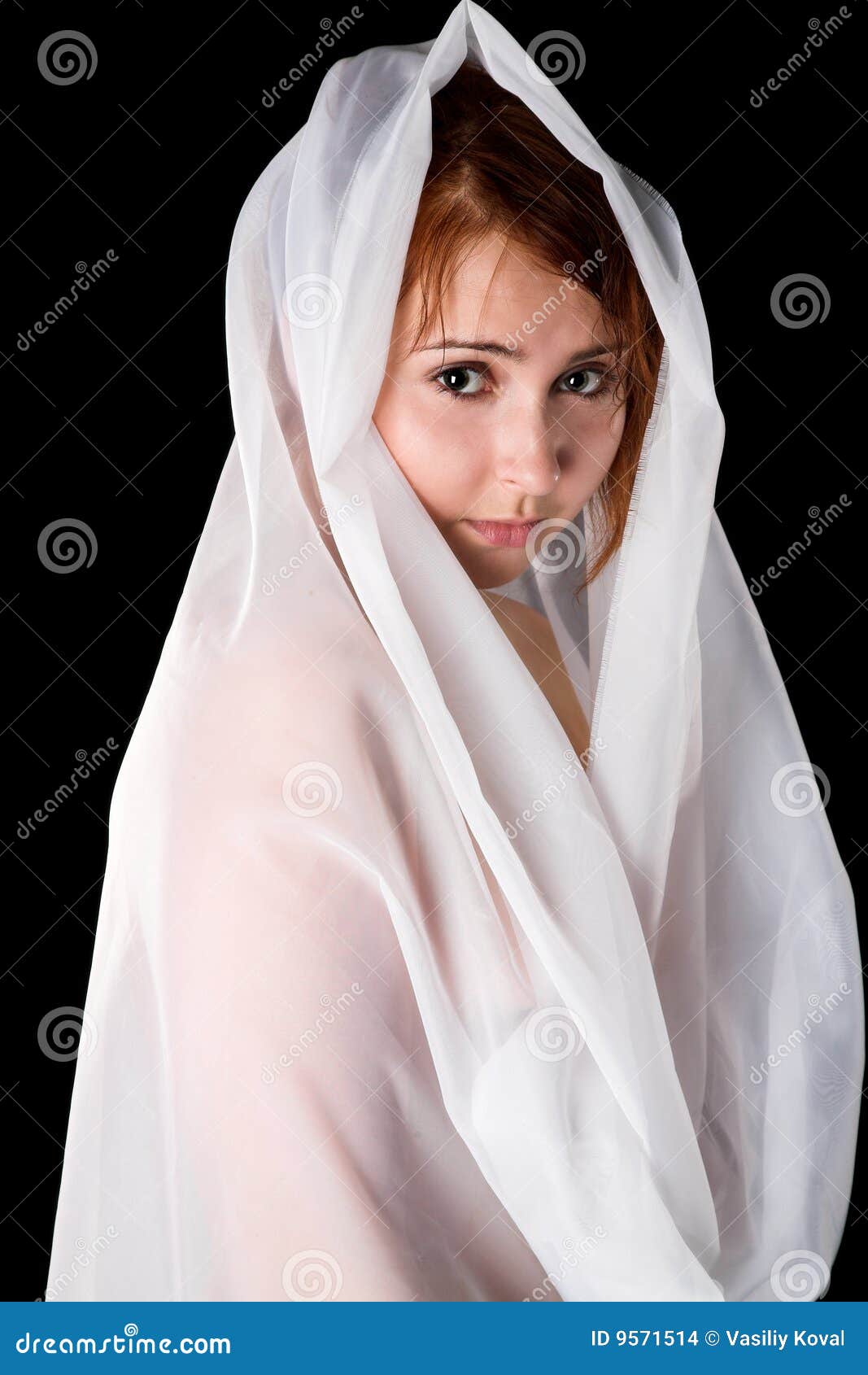Woman in white veil stock photo. Image of portrait, voile - 9571514