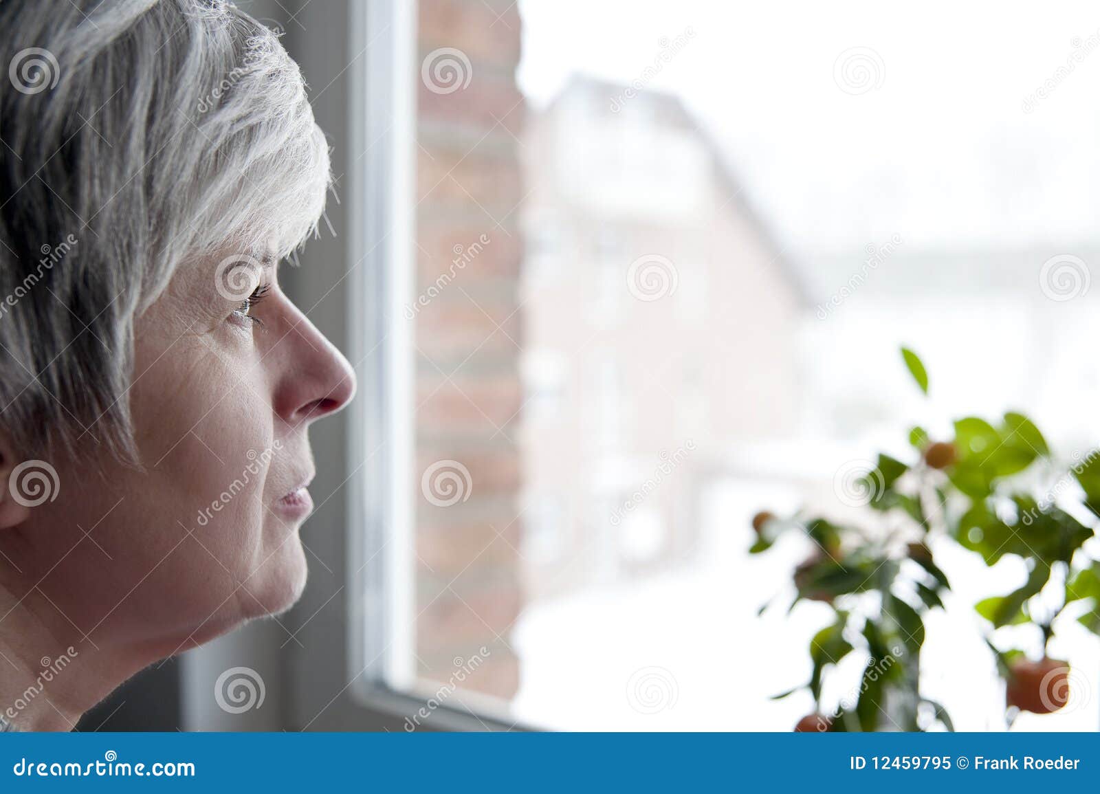 Woman at the Window stock image. Image of interior, look - 12459795