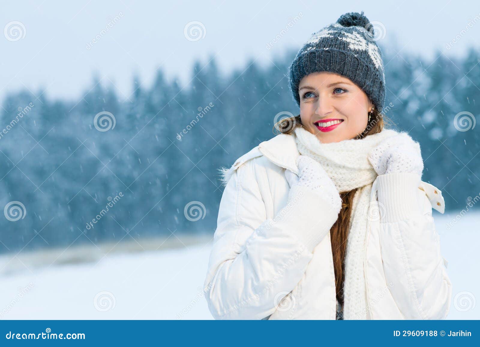 Woman and winter stock photo. Image of female, season - 29609188