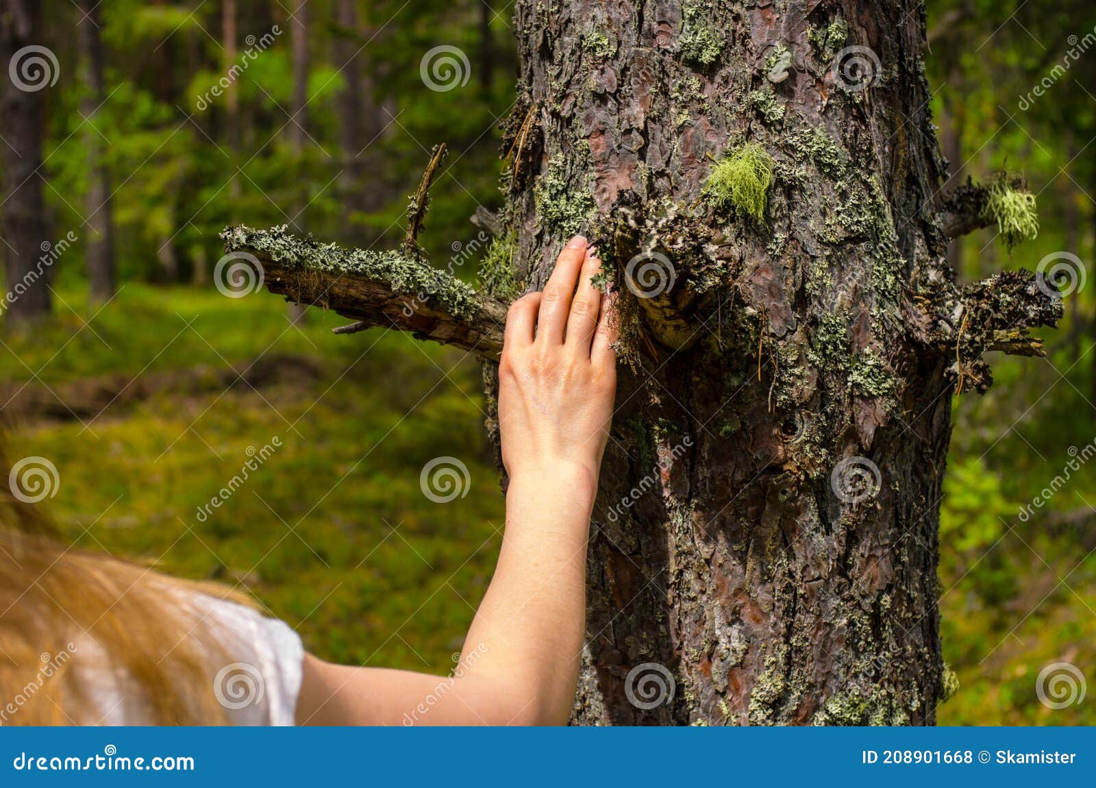 Woman in the Wood Touching the Tree with Her Hand Stock Photo - Image ...