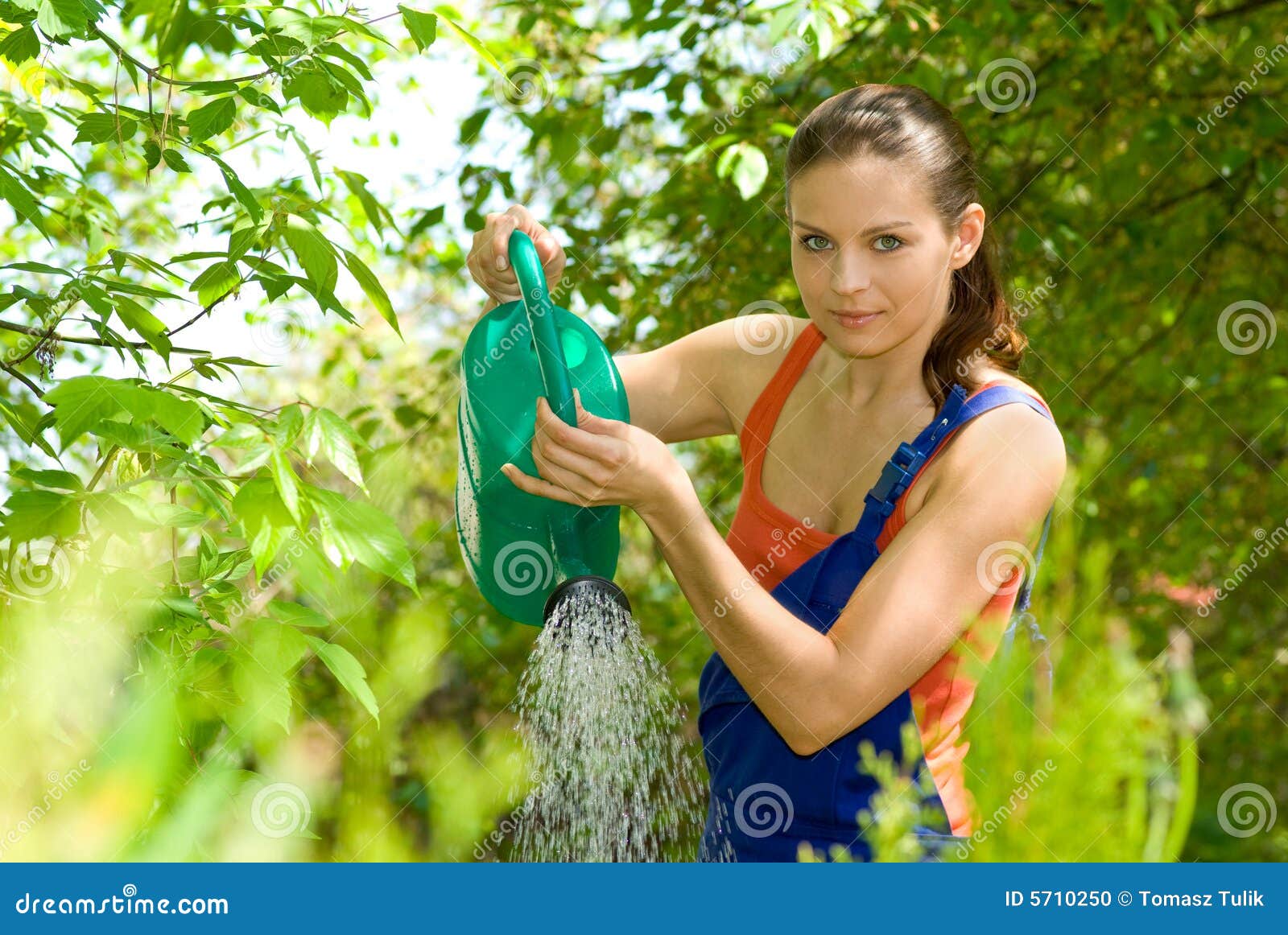 Woman work in her garden stock photo. Image of gardener - 5710250