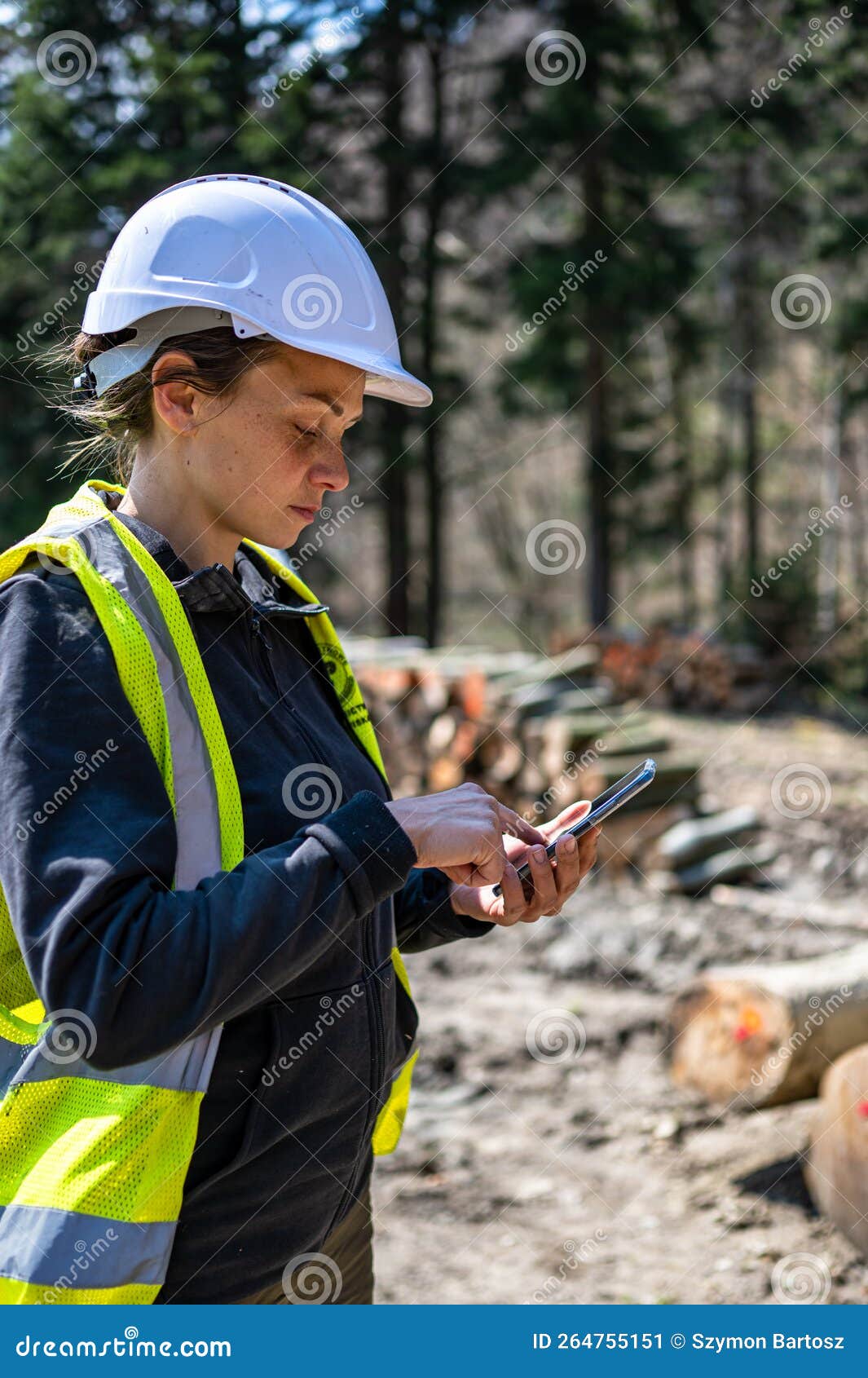 A Woman Working As a Forester. Wood Quality Control Process Stock Image ...
