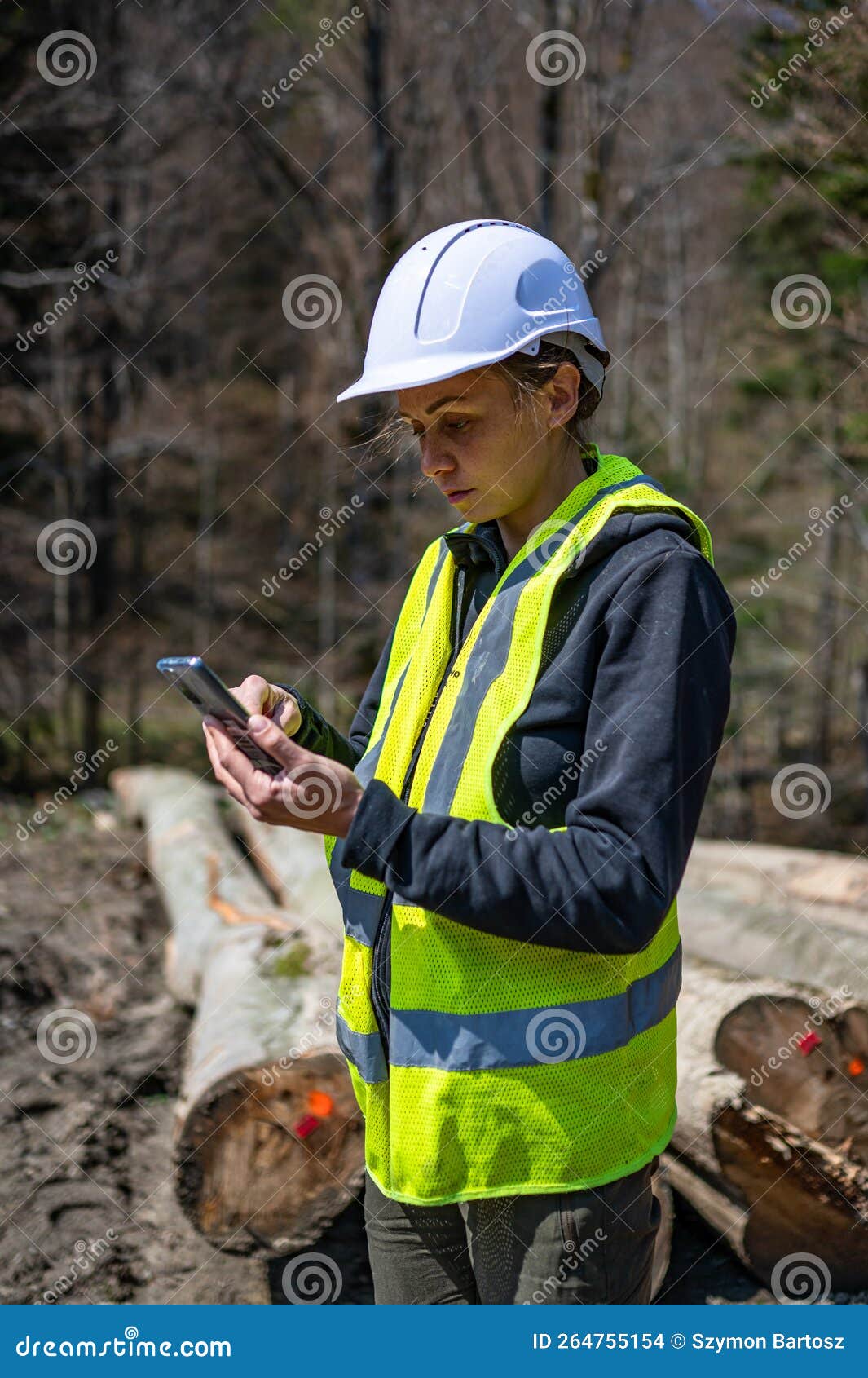 A Woman Working As a Forester. Wood Quality Control Process Stock Photo ...