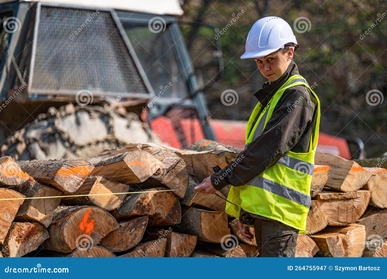 A Woman Working As a Forester. Wood Quality Control Process Stock Image ...