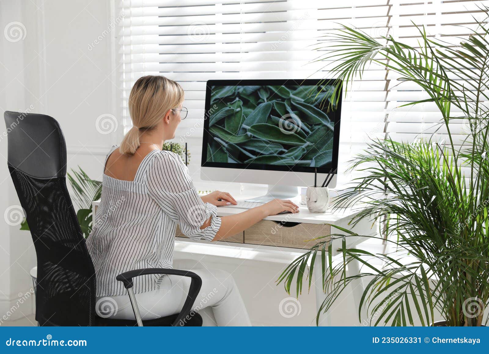 Woman Working on Computer at Table in Room. Interior Design Stock Image ...