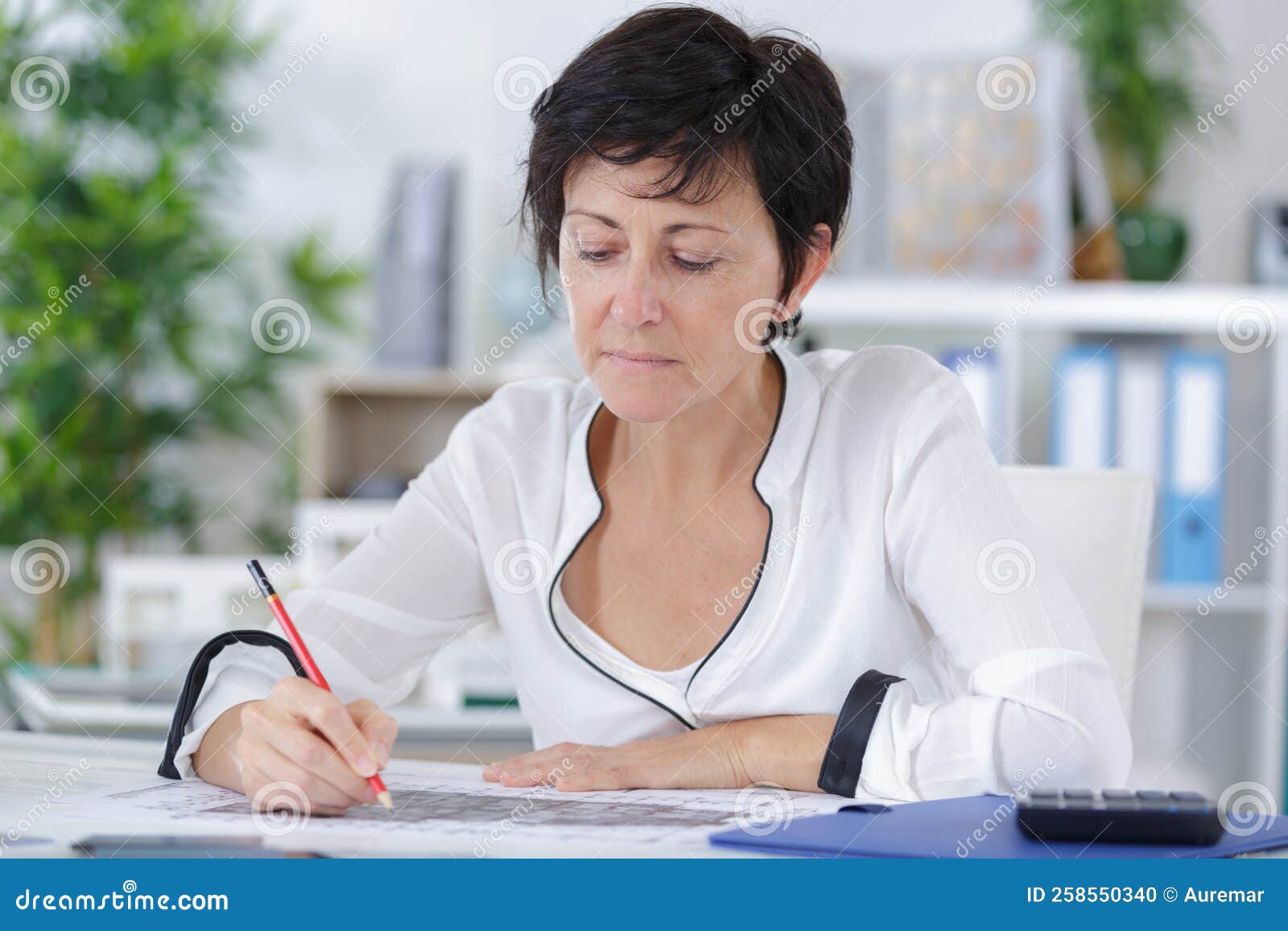 Woman Working on Drawing Plan Stock Photo - Image of blanket, associate ...