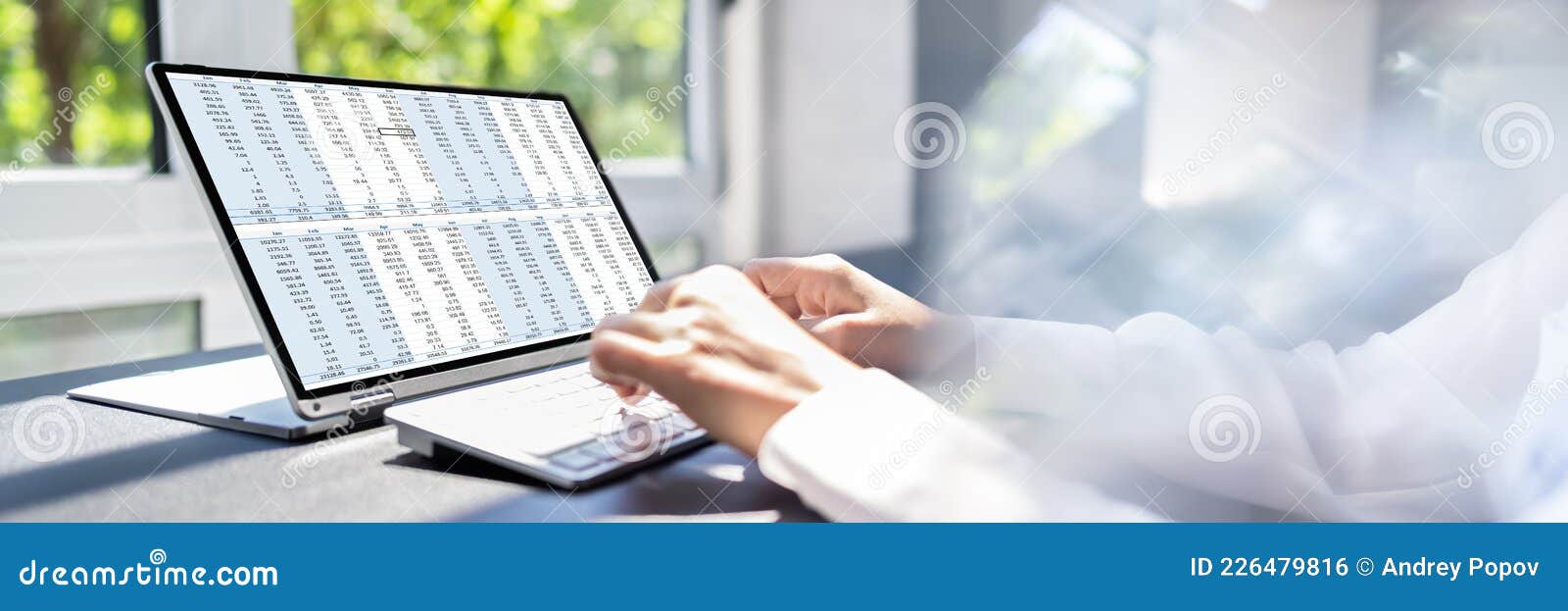Woman Working with Electronic Spreadsheet Reports Stock Photo - Image ...