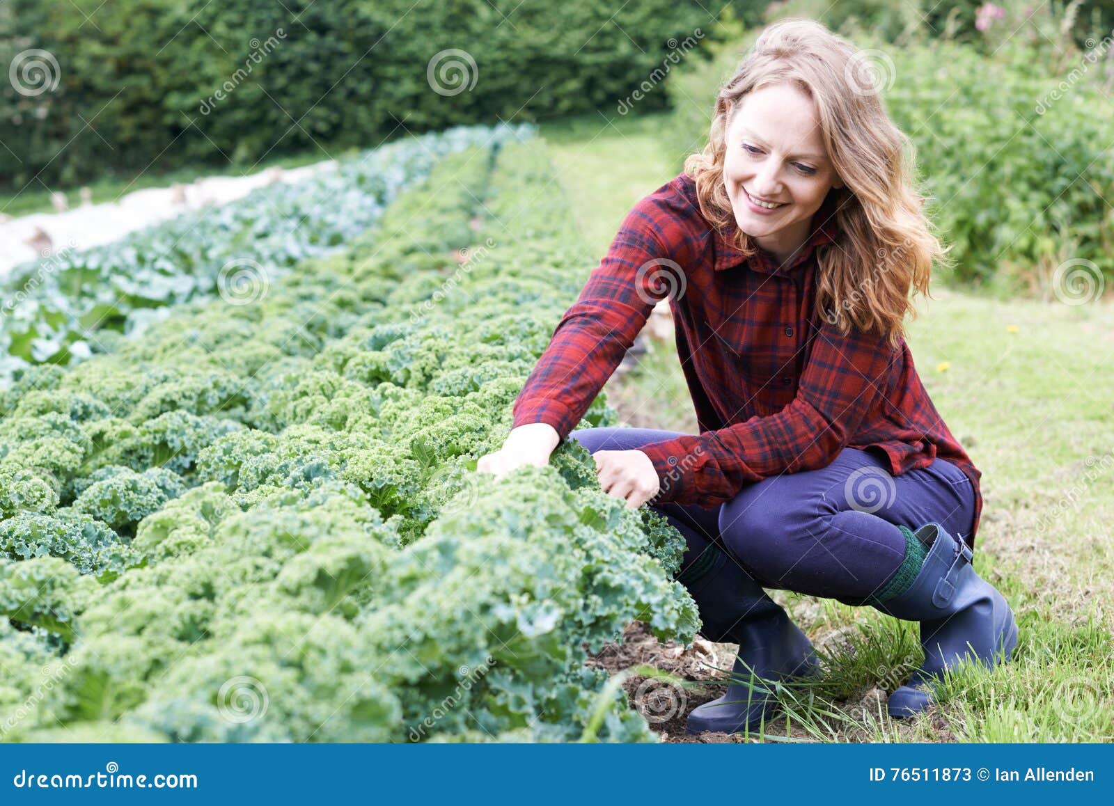 Woman Working in Field on Organic Farm Stock Image - Image of happy ...