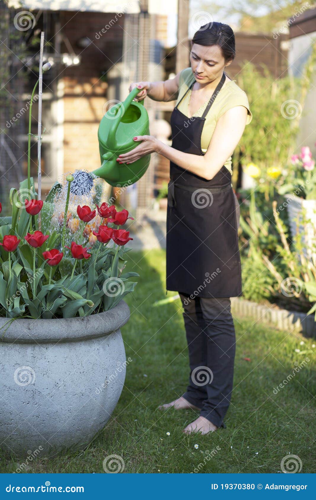 Woman working in garden stock photo. Image of fine, plants - 19370380