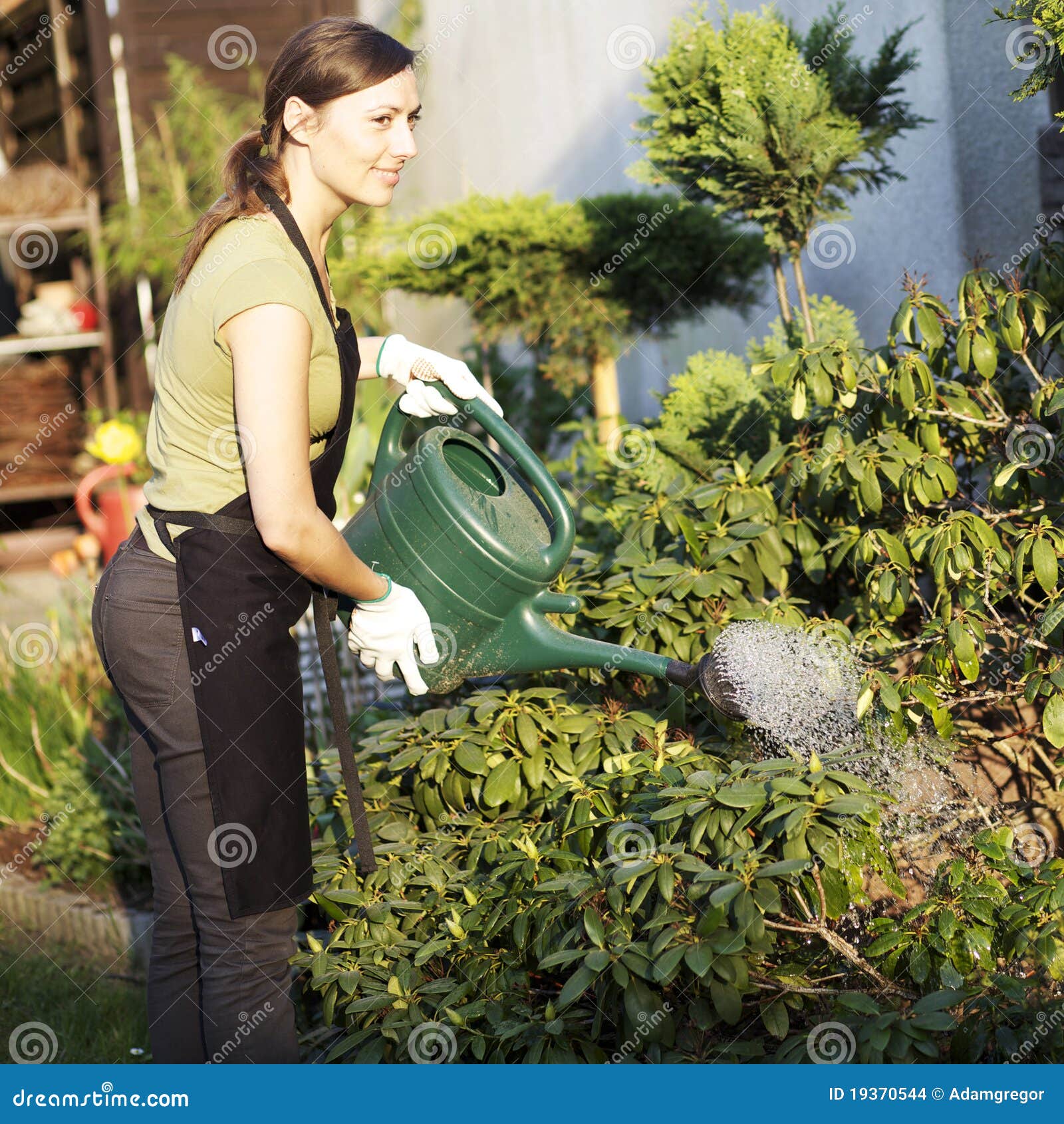 Woman working in garden stock photo. Image of watering - 19370544