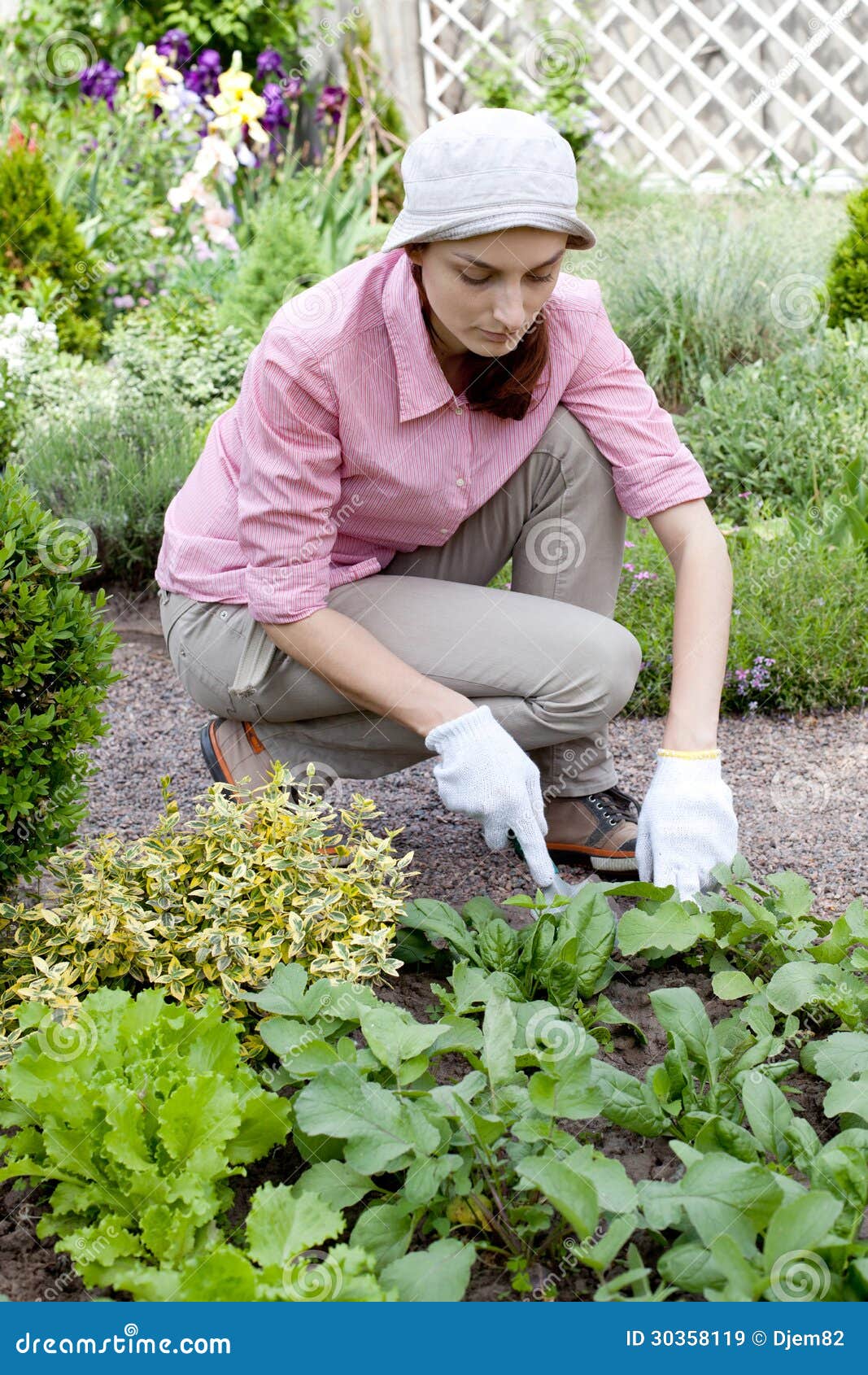 Woman Working in the Garden Bed Stock Image - Image of growth, nature ...