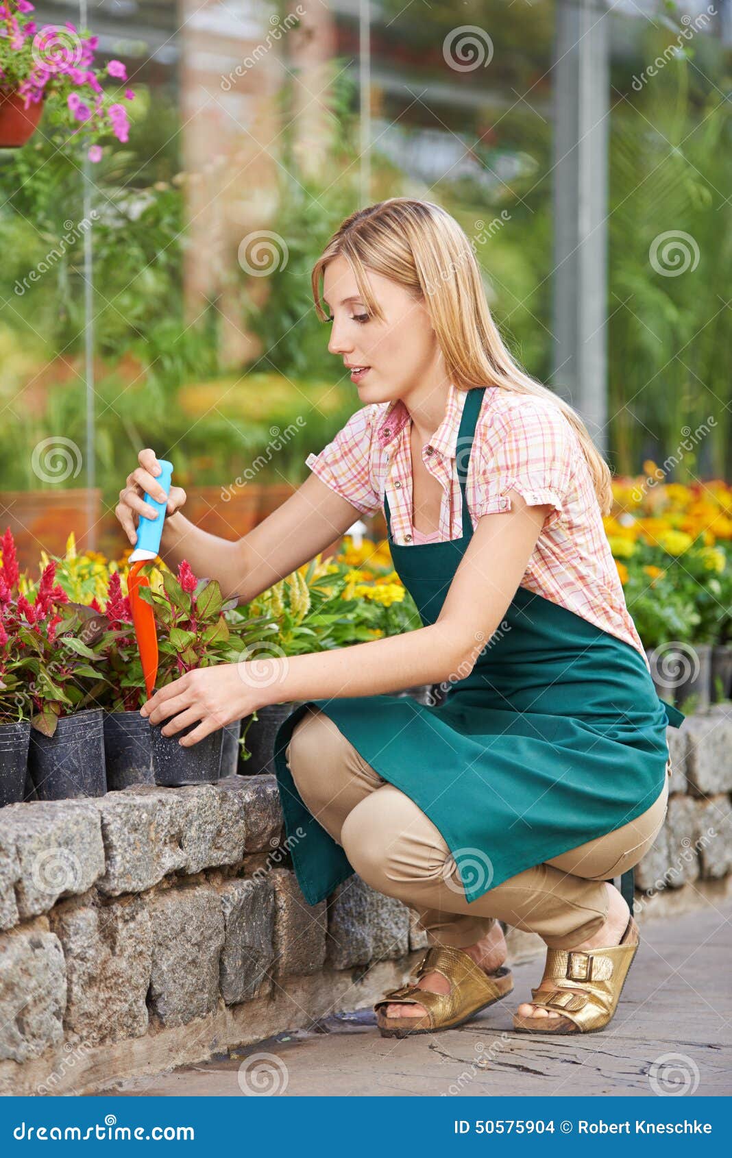 Woman Working in Garden in Spring Stock Photo - Image of retail ...