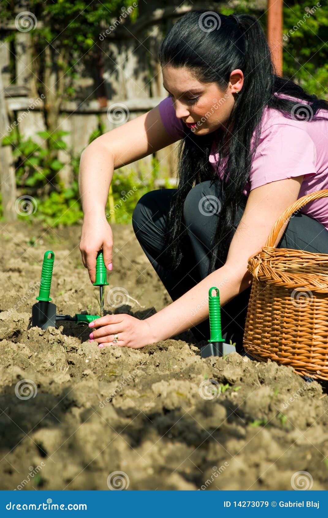Woman Working in Garden and Using Tools Stock Image - Image of garden ...