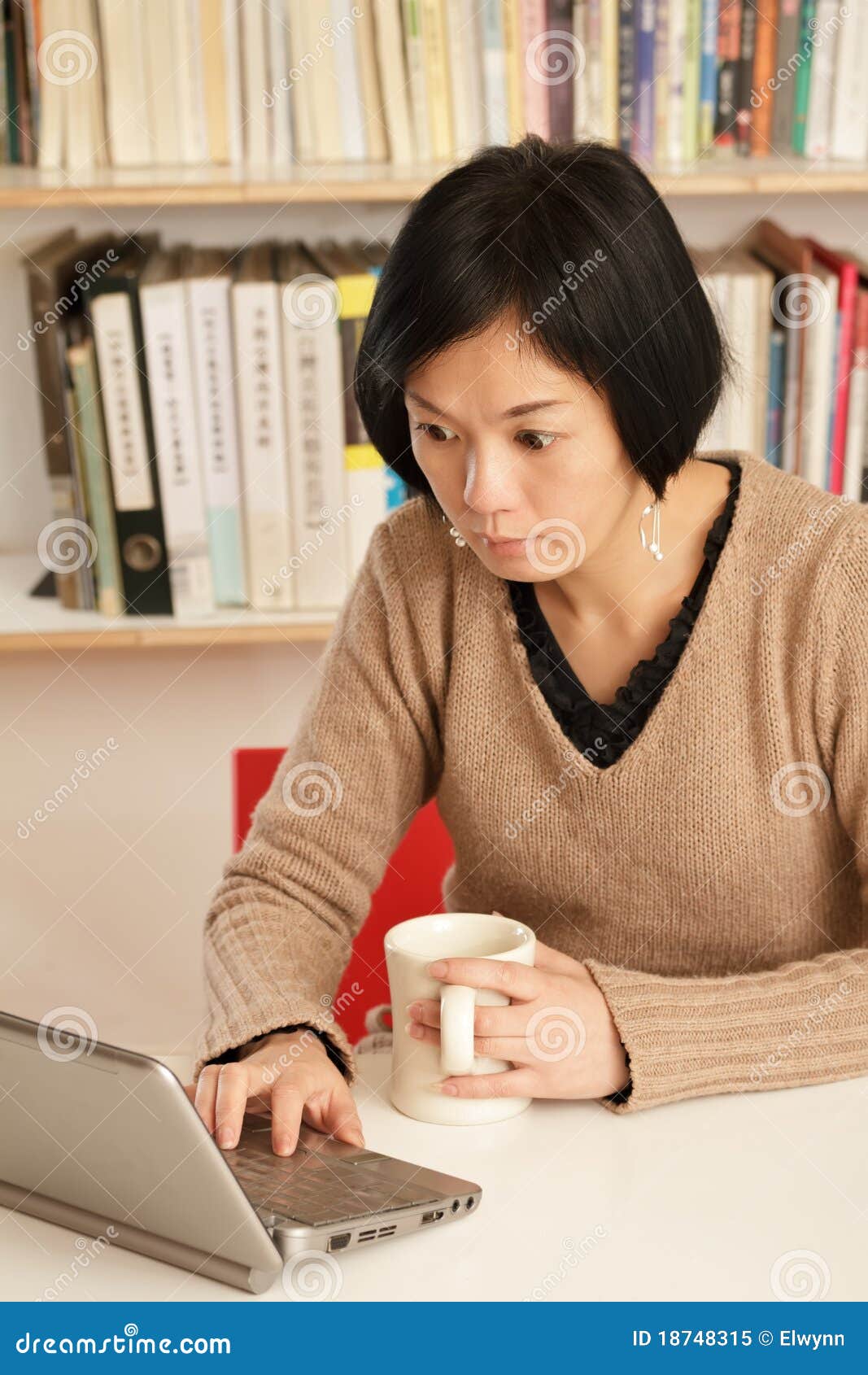 Woman working at home stock image. Image of adult, attractive - 18748315