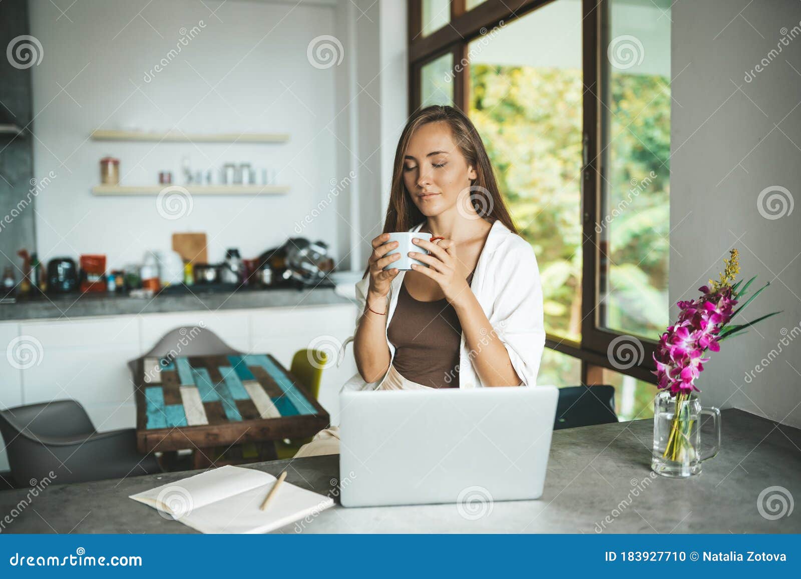 Woman Working from Home at the Computer Stock Photo - Image of girl ...