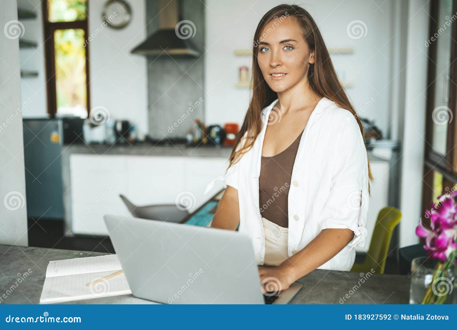 Woman Working from Home at the Computer Stock Photo - Image of ...