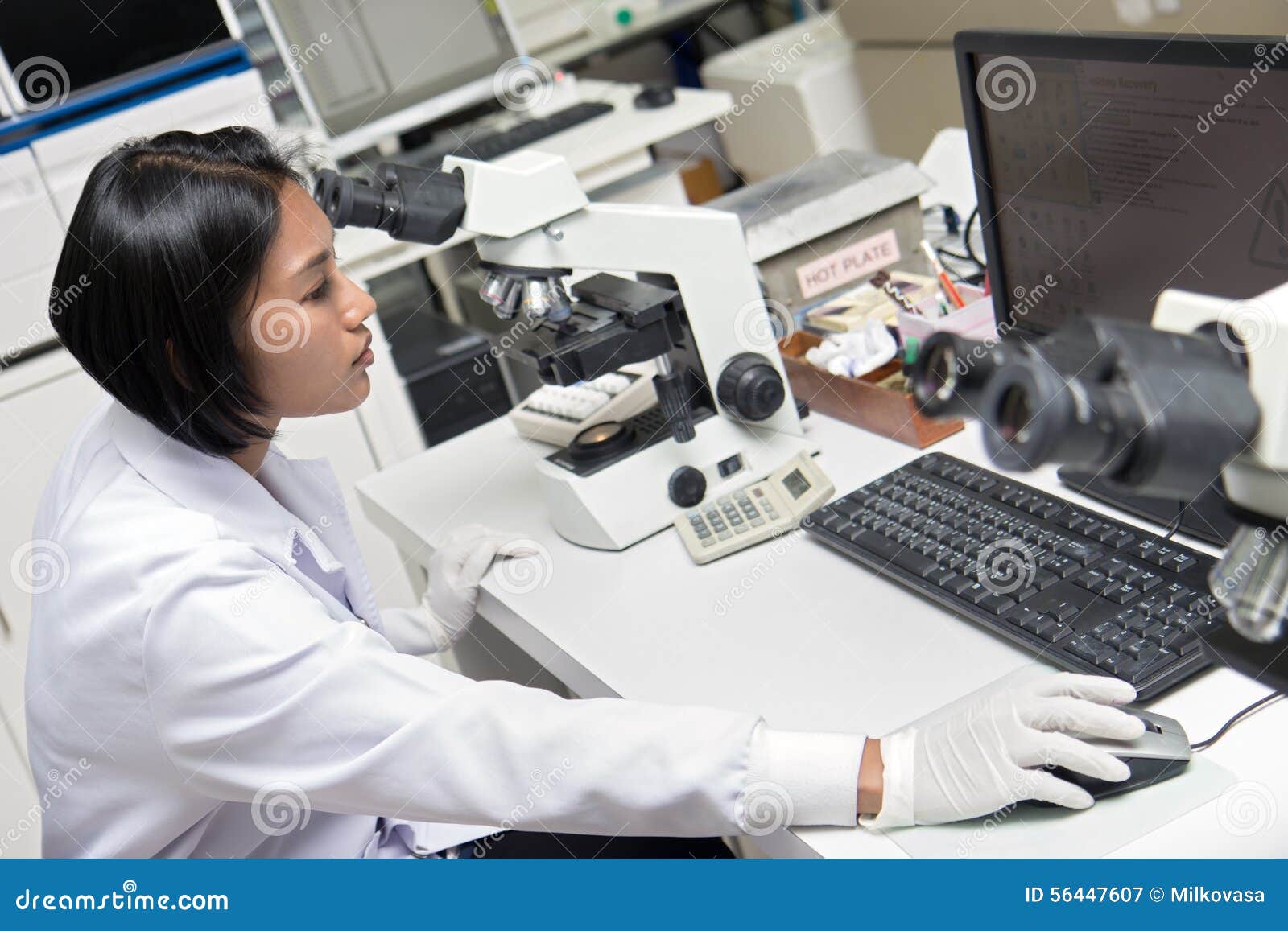 Woman Working in a Laboratory Stock Image - Image of computer, interior ...