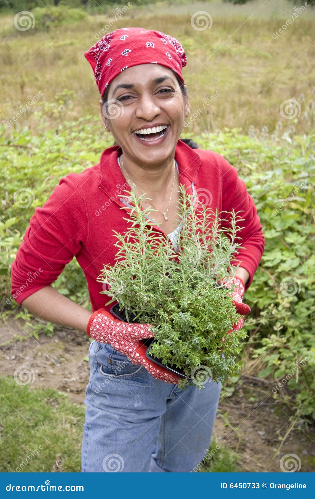 Woman Working Outside in Garden Stock Image - Image of improvement ...