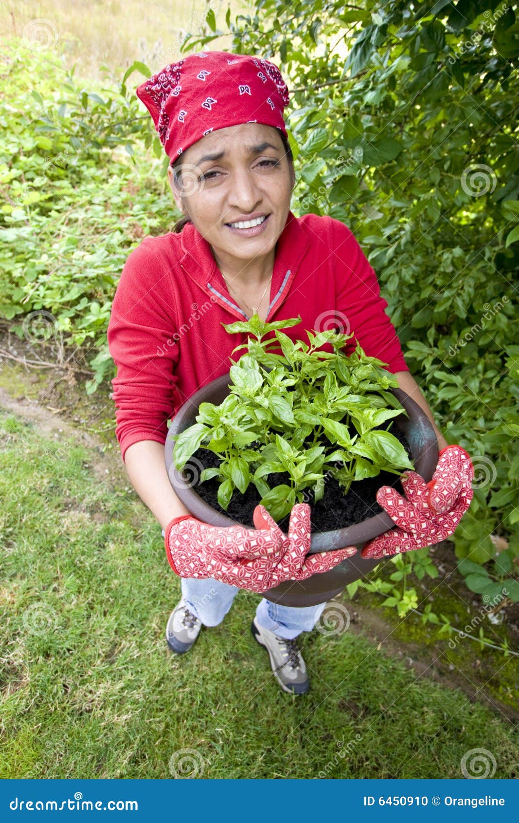 Woman Working Outside in Garden Stock Photo - Image of adult, lawn: 6450910