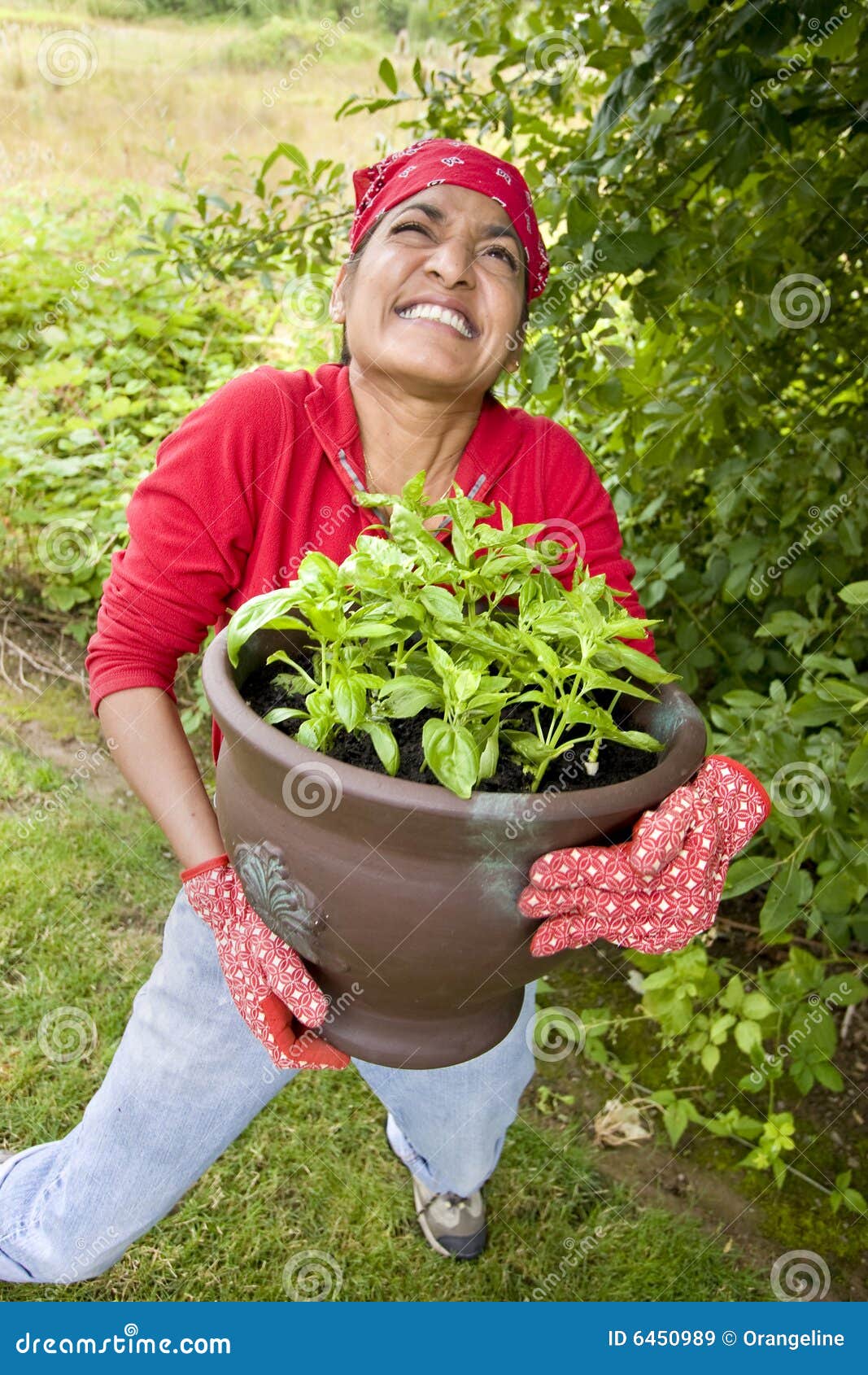 Woman Working Outside in Garden Stock Image - Image of latin, ethnic ...