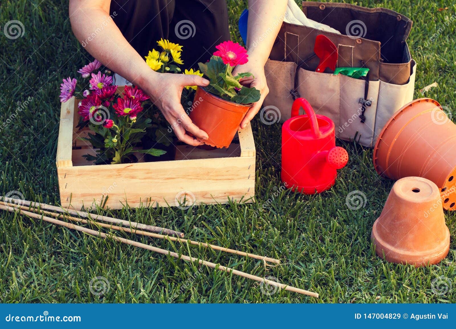 A Woman Working with Plants Stock Image - Image of ground, fresh: 147004829