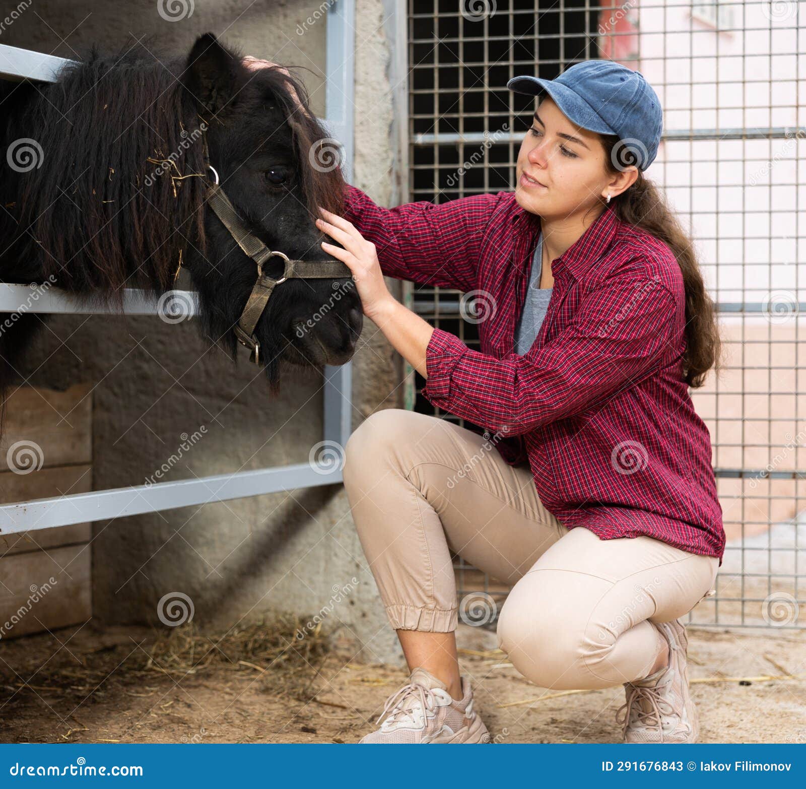 Woman working with ponies stock image. Image of fodder - 291676843