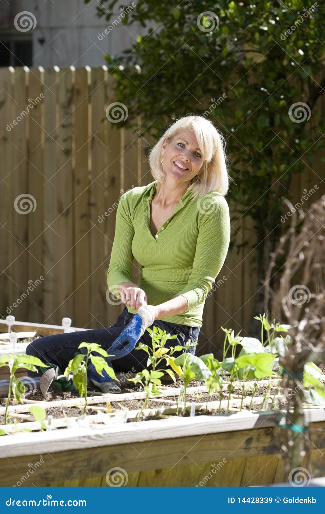 Woman Working on Vegetable Garden in Backyard Stock Image - Image of ...