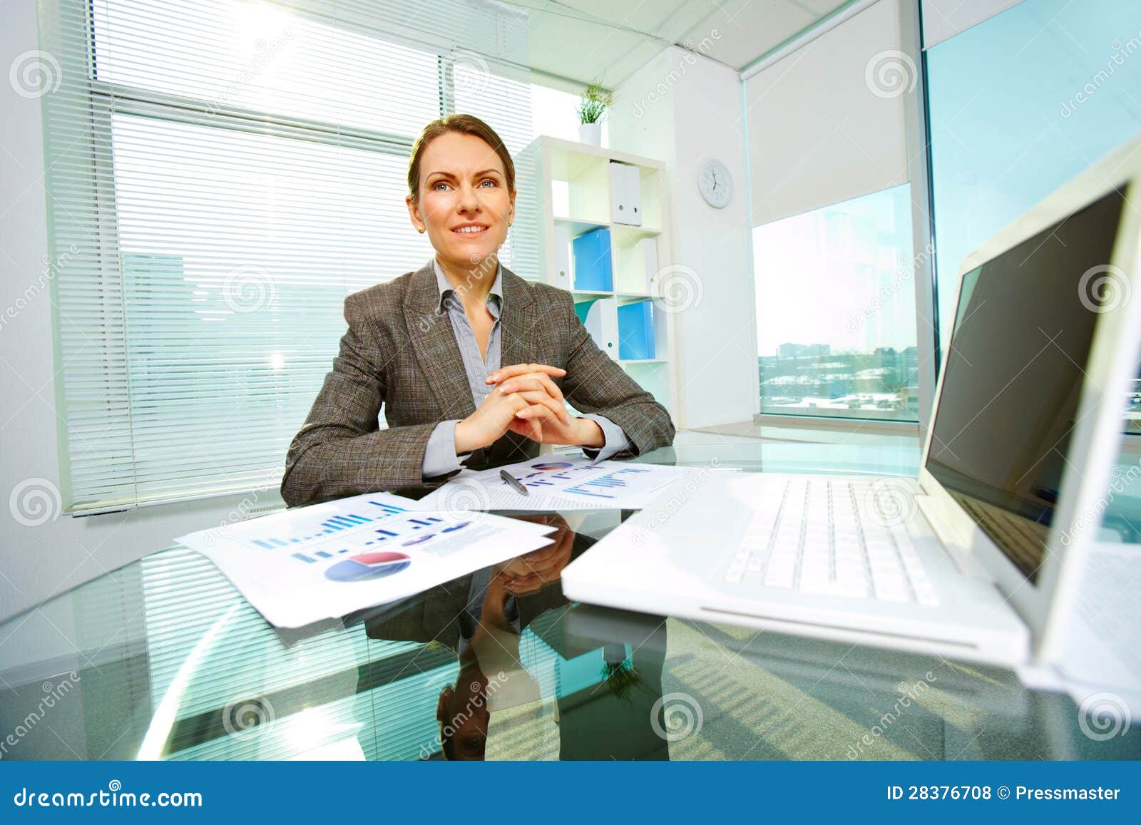 Woman at workplace stock photo. Image of adult, diagram - 28376708